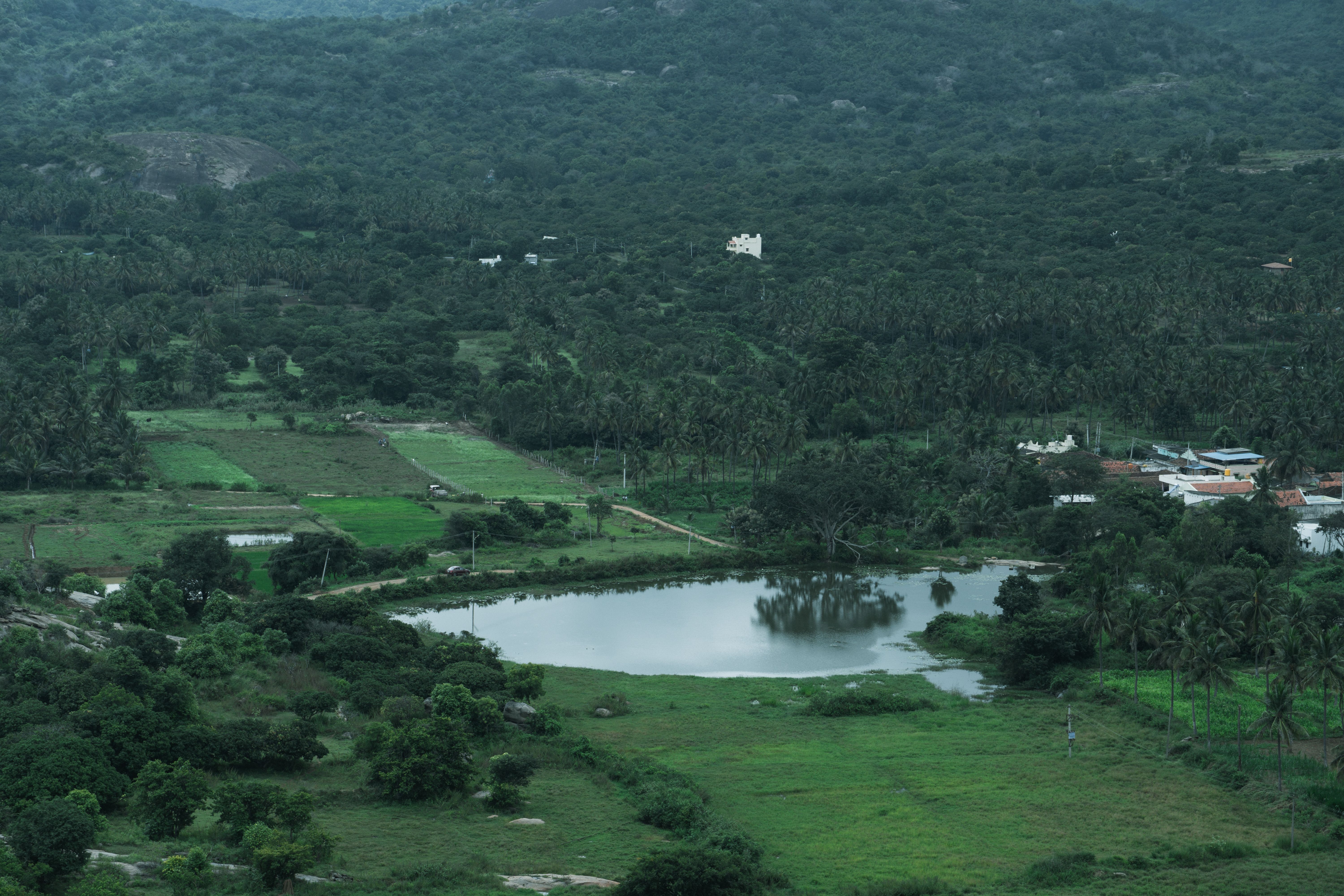 Scenic Green Hillside in Bengaluru Countryside · Free Stock Photo