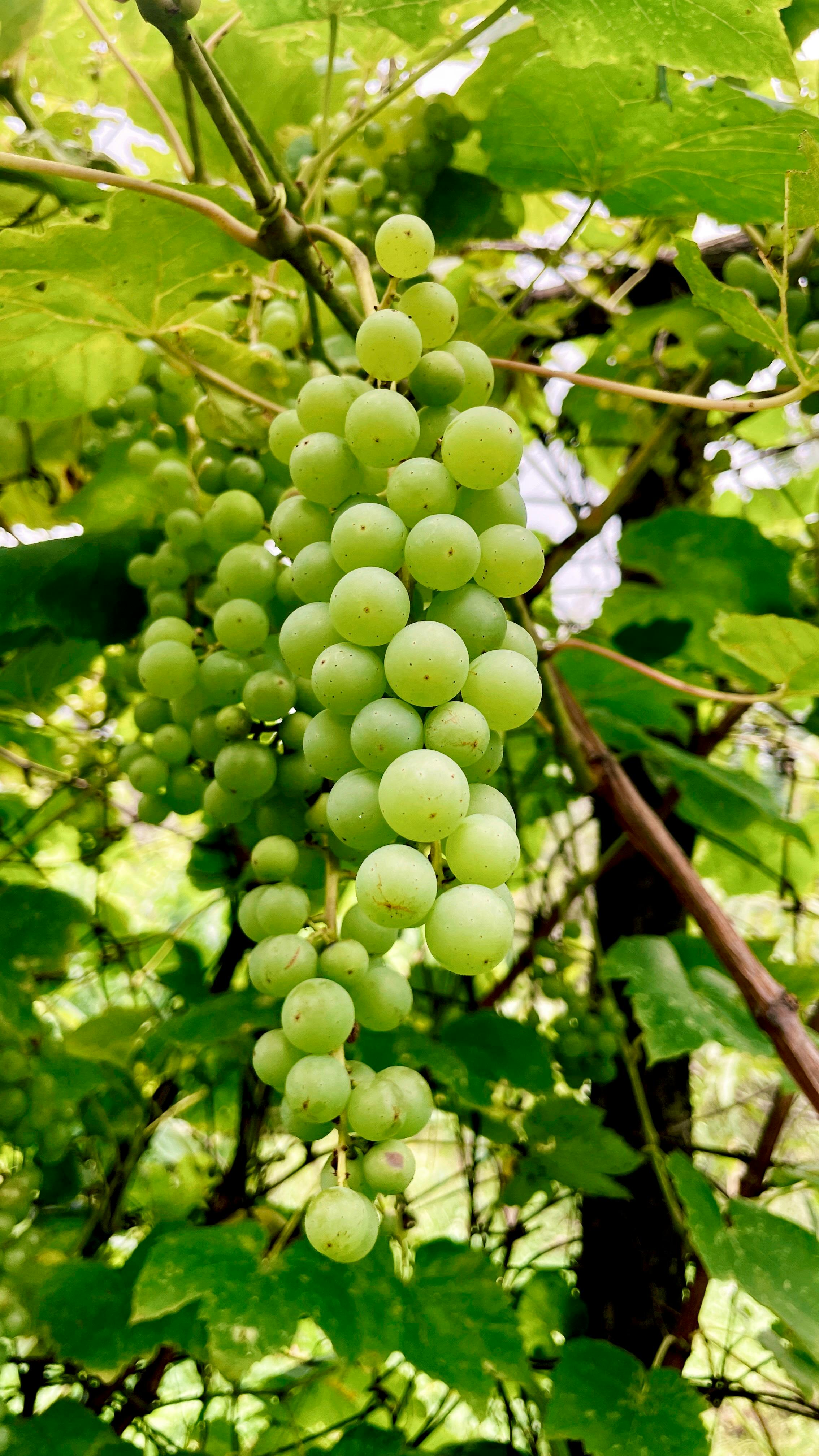 C+Bg Photos, Download The BEST Free C+Bg Stock Photos & HD Images