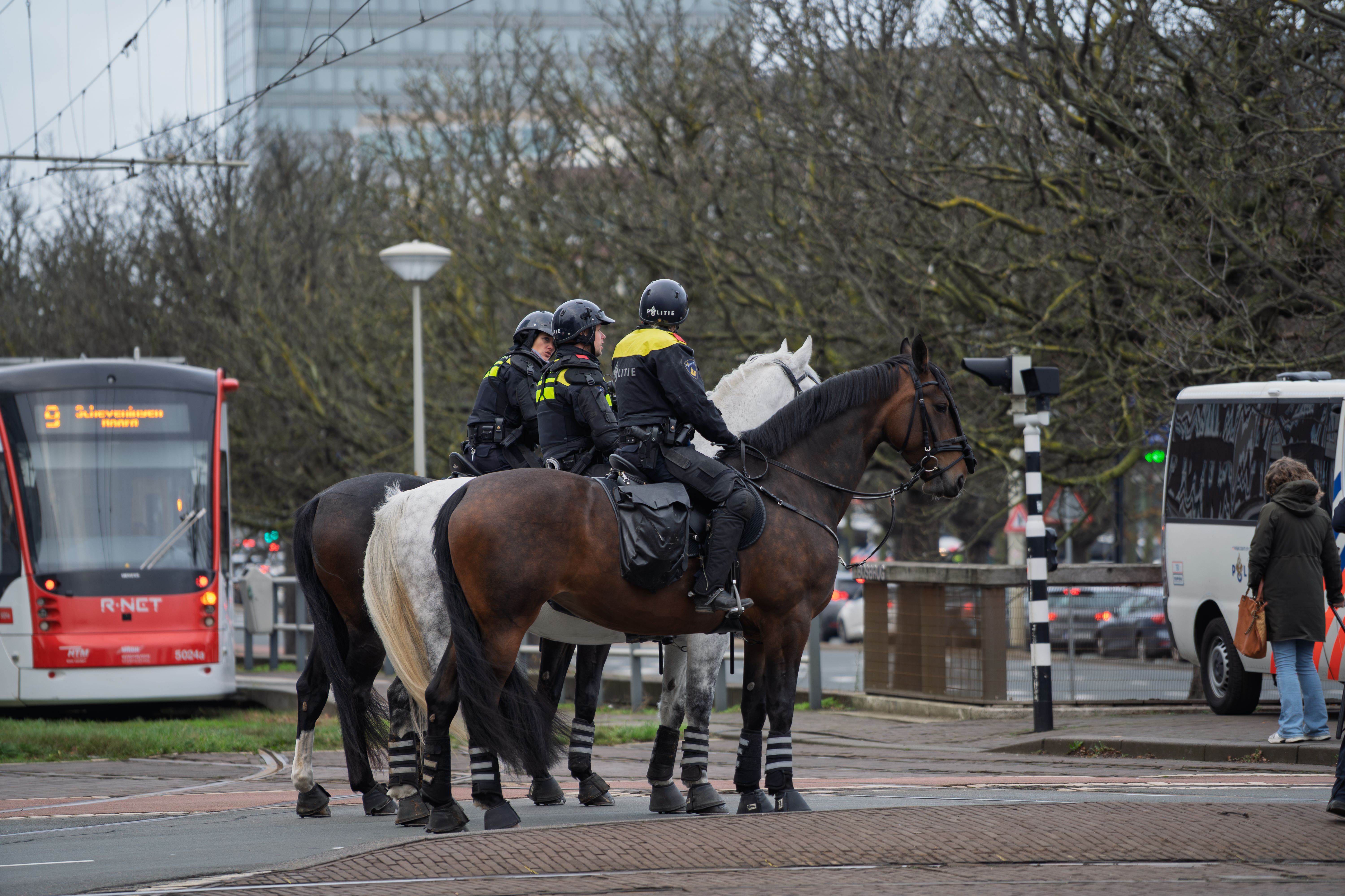 Mounted Police Officers in City Streets · Free Stock Photo