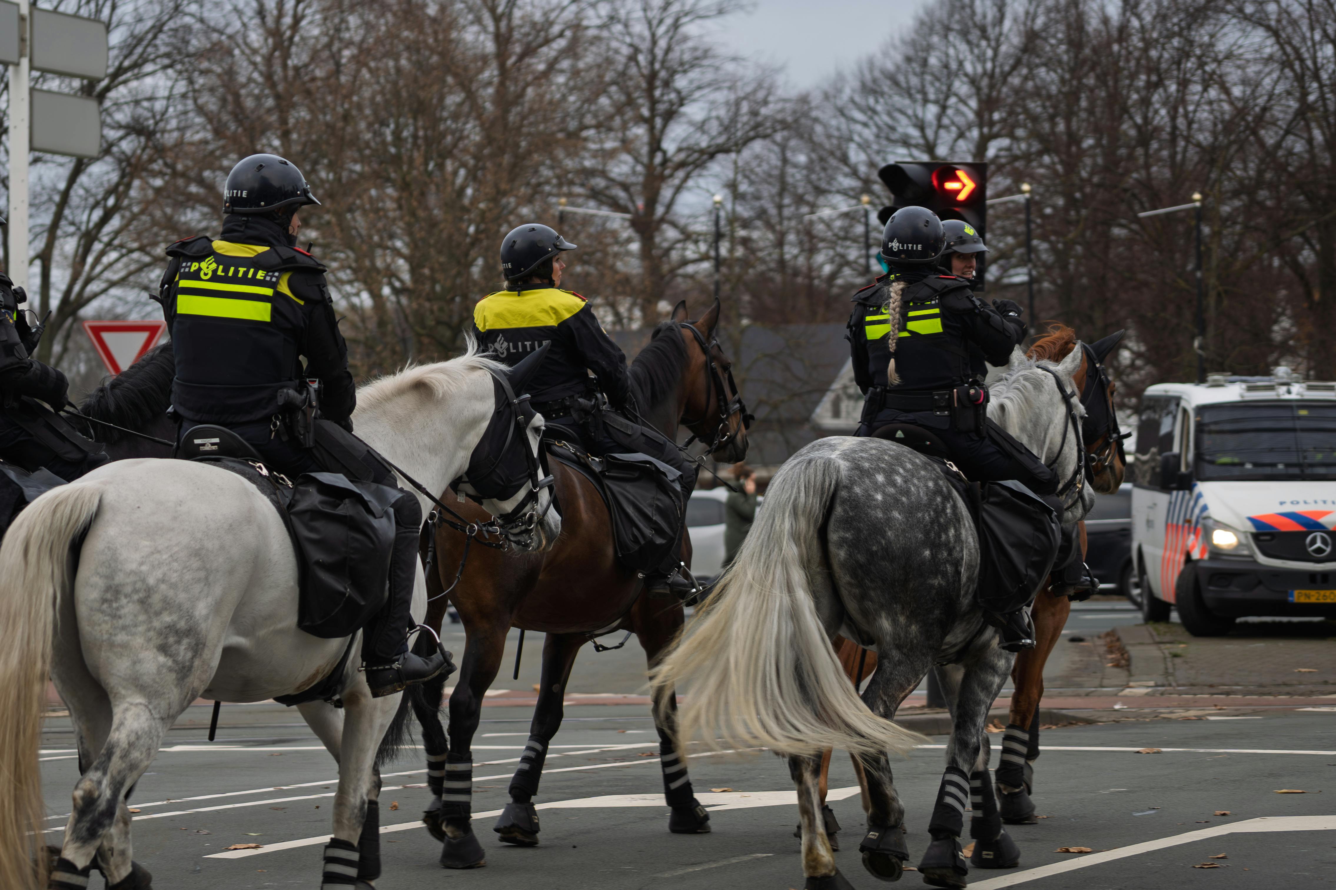 Dutch Mounted Police Patrol in Urban Setting · Free Stock Photo