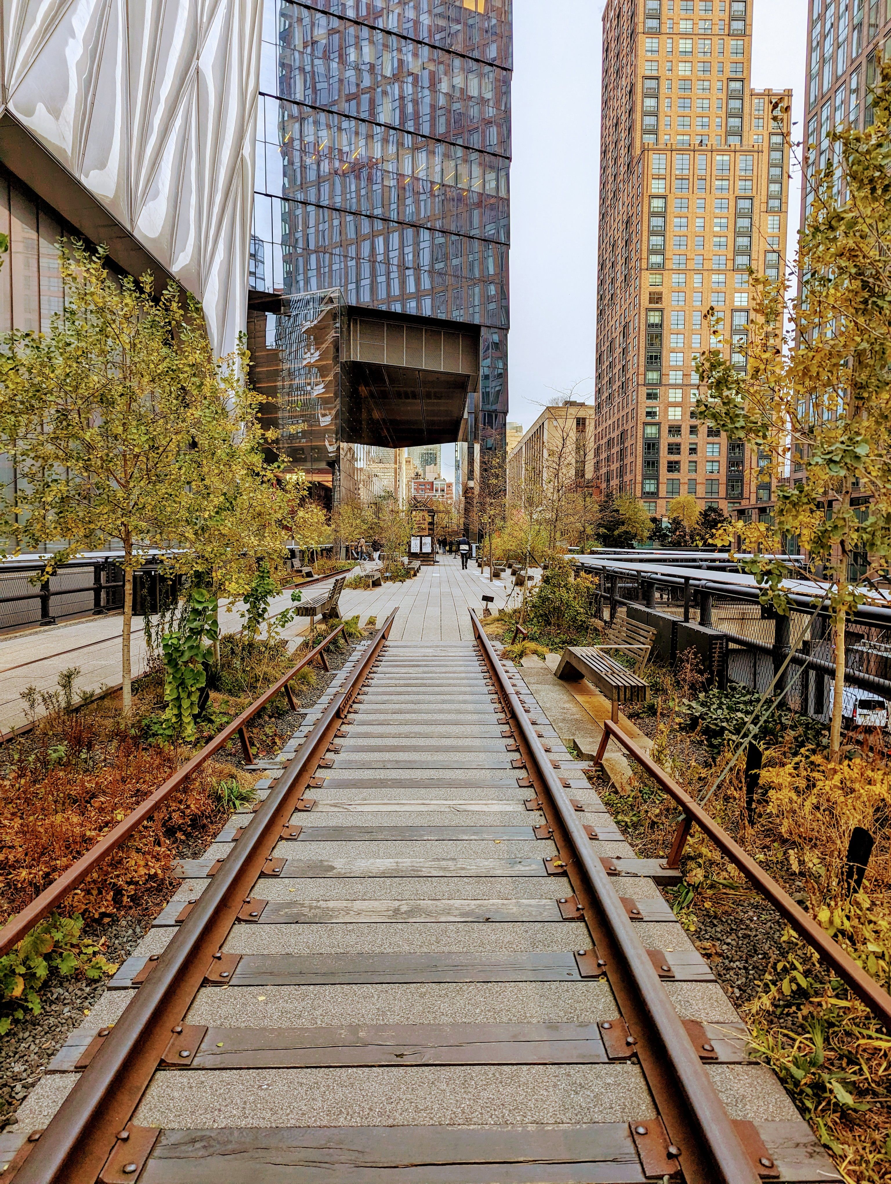 Scenic Urban View from New York City High Line · Free Stock Photo