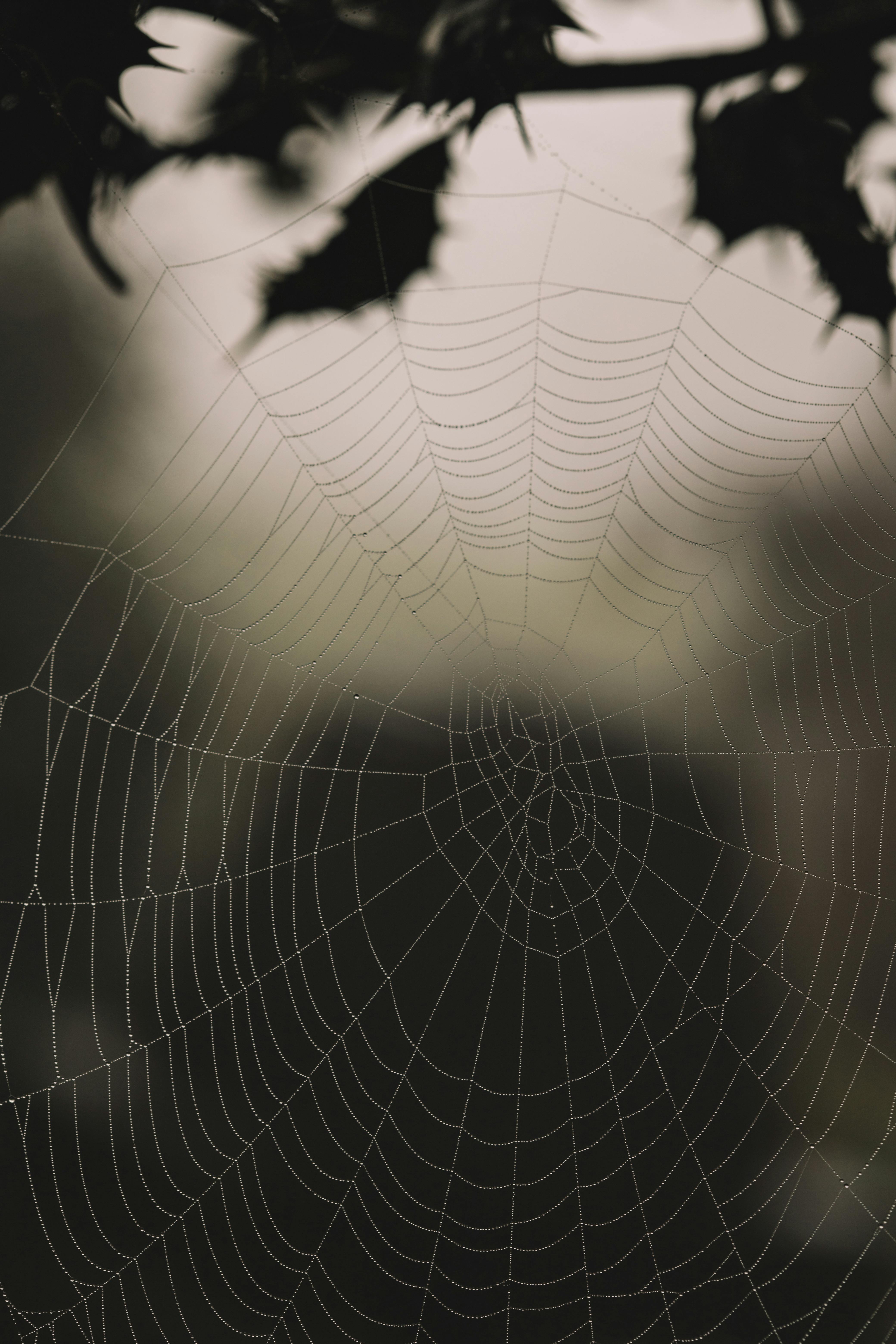 Invisible Photos, Download The BEST Free Invisible Stock Photos & HD Images