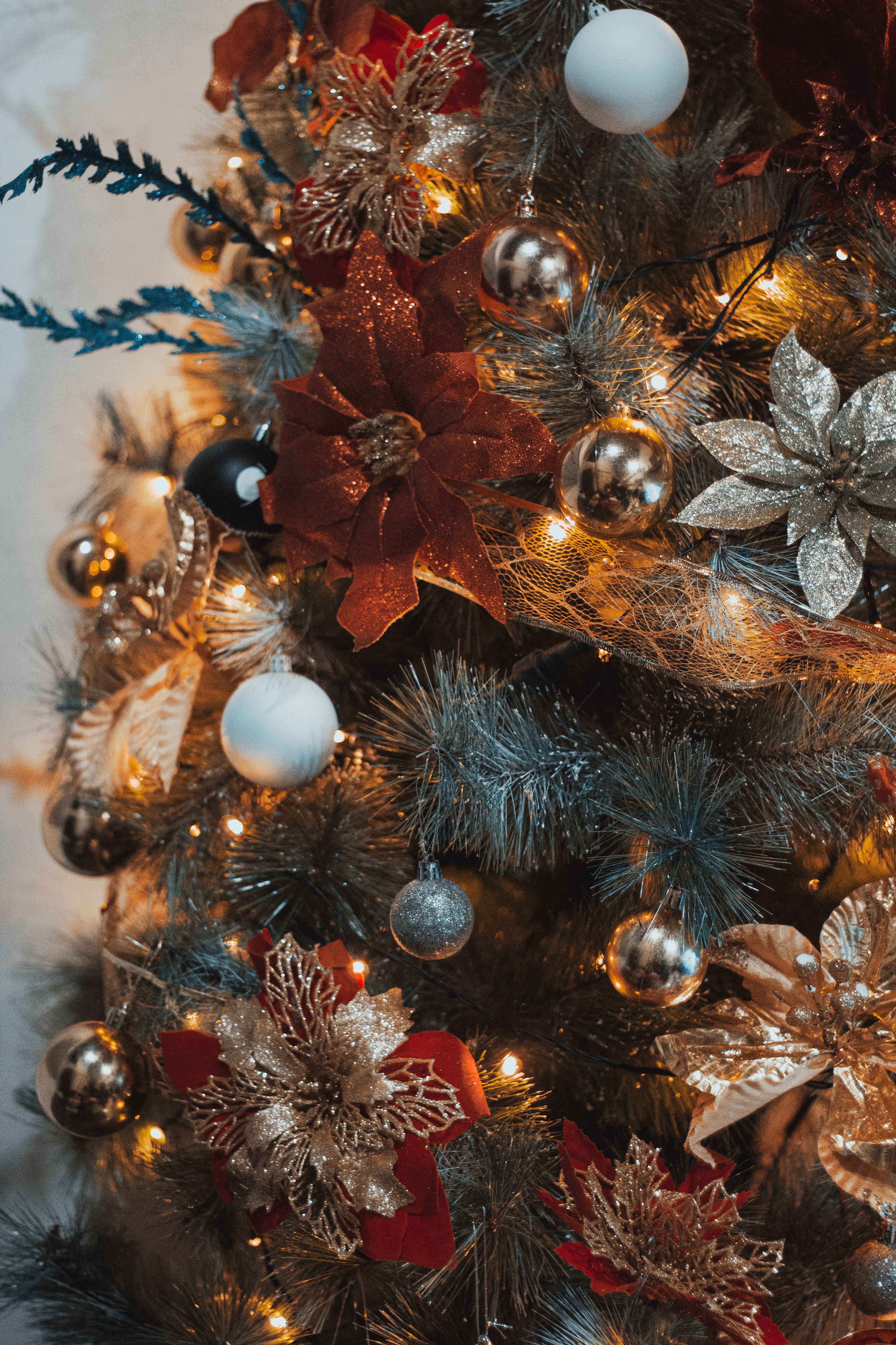 Photo of Christmas Tree · Free Stock Photo
