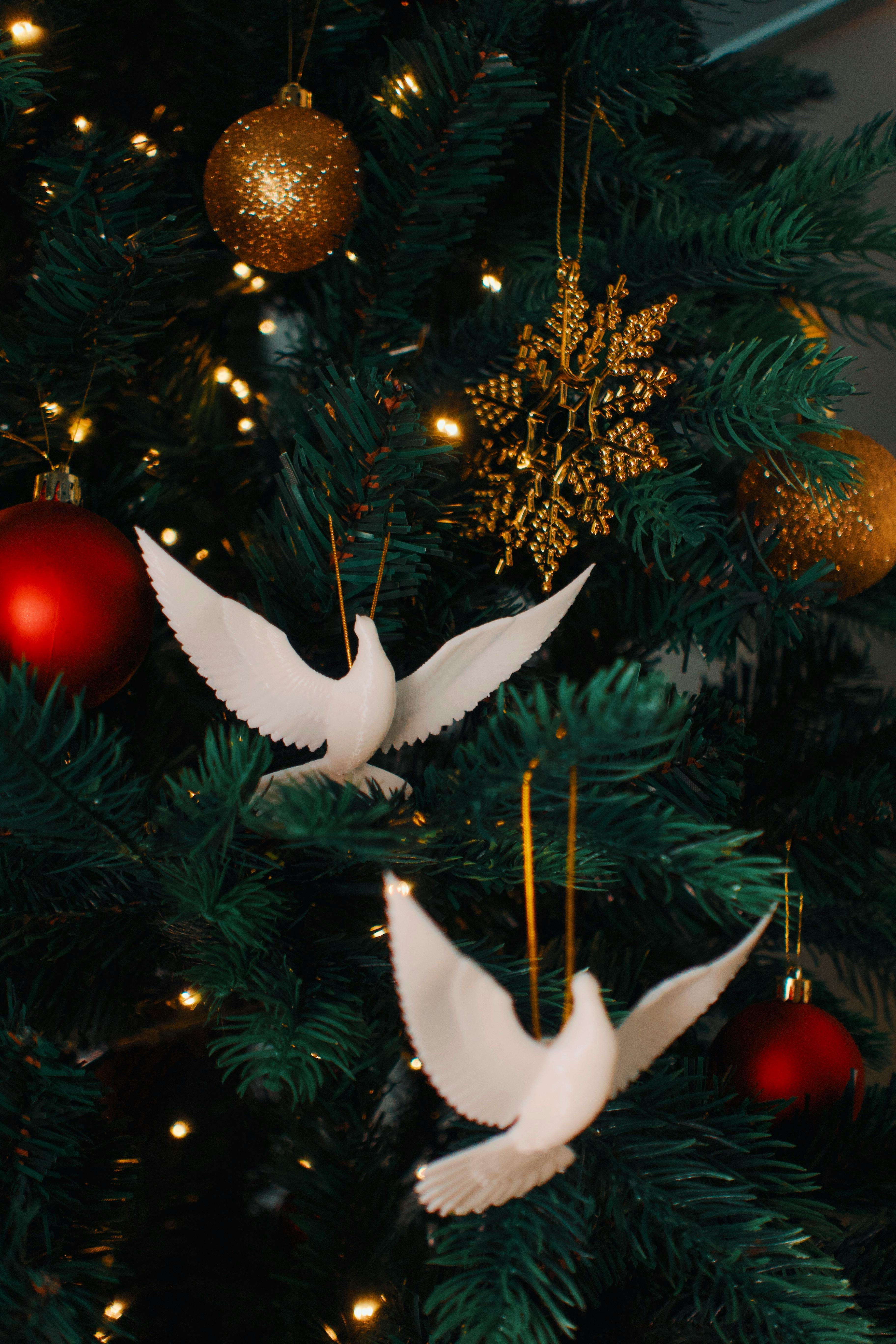 Hert Niks – fotografia