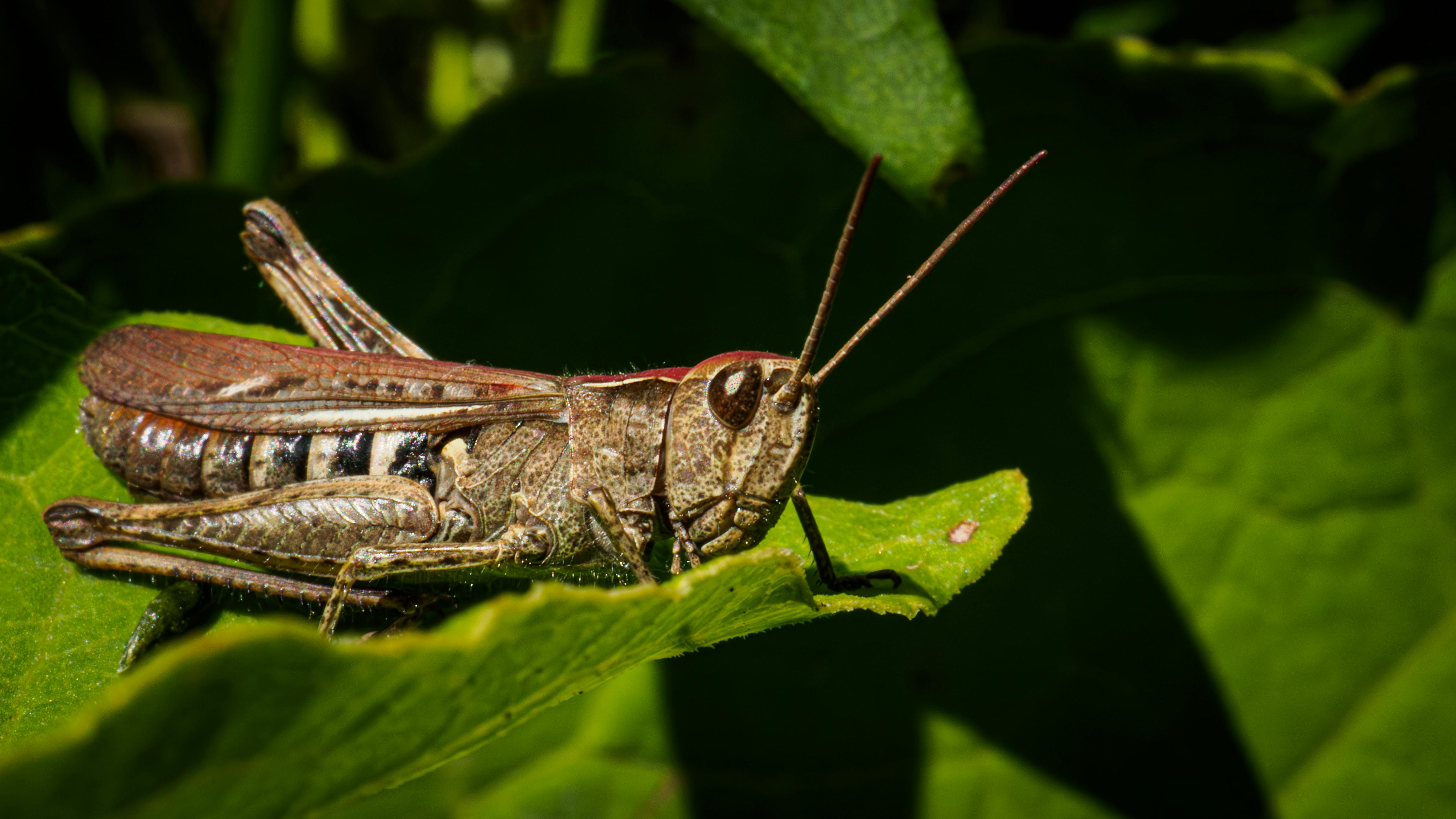 Simple+Tech+External+Hd Photos, Download The BEST Free Simple+Tech ...