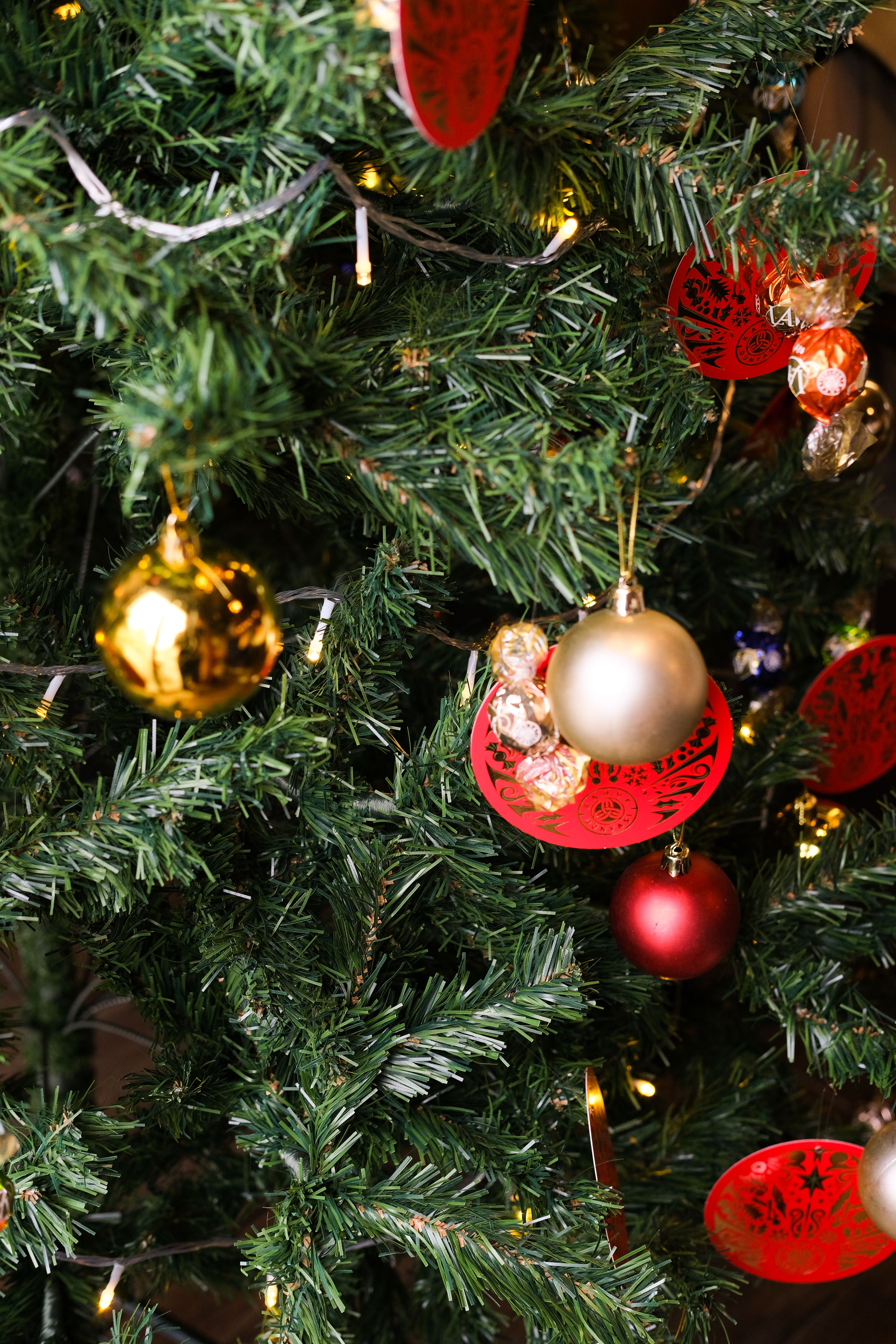Close-Up Photo of Christmas Tree With Ornaments · Free Stock Photo
