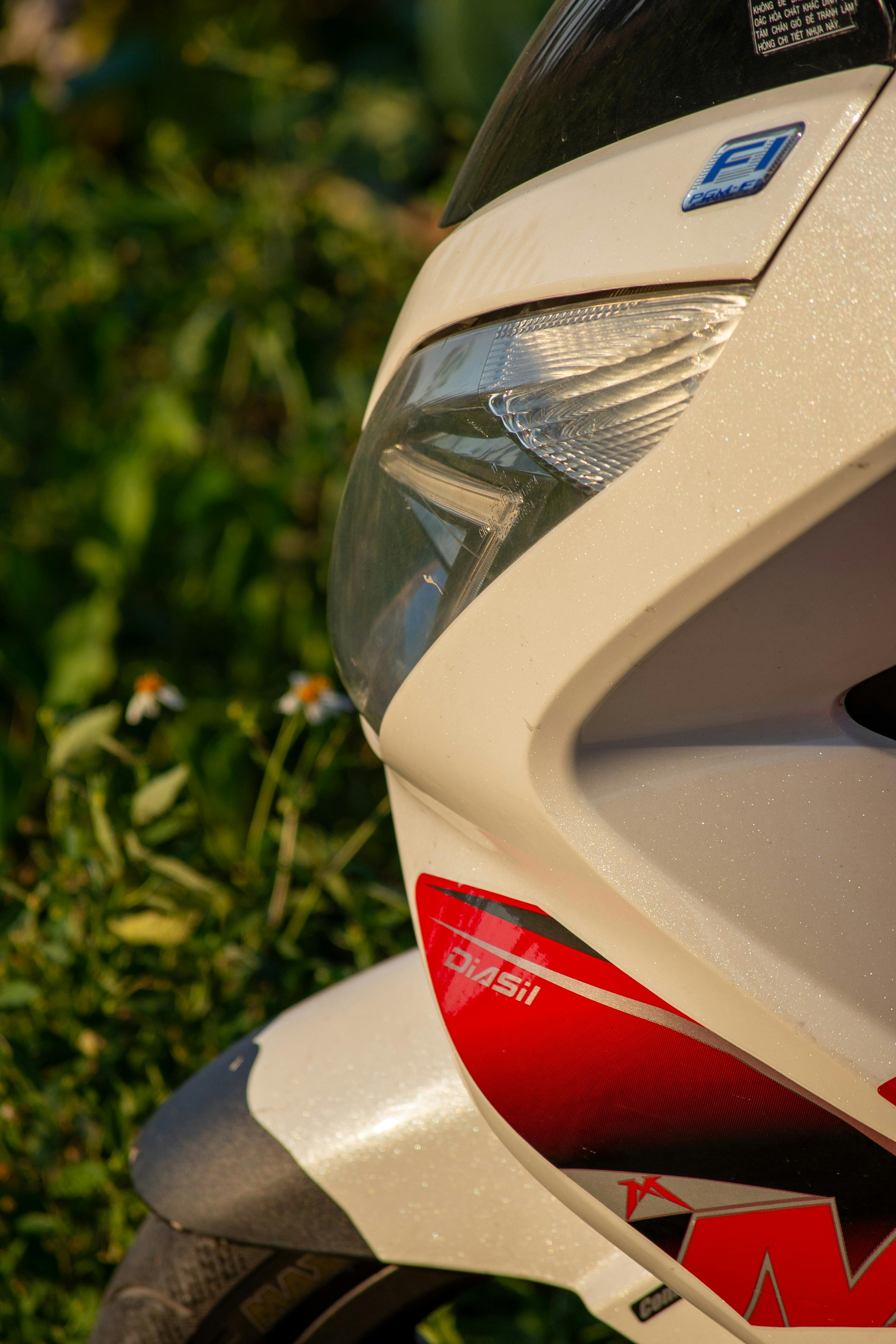 Coomer+Part Photos, Download The BEST Free Coomer+Part Stock Photos ...