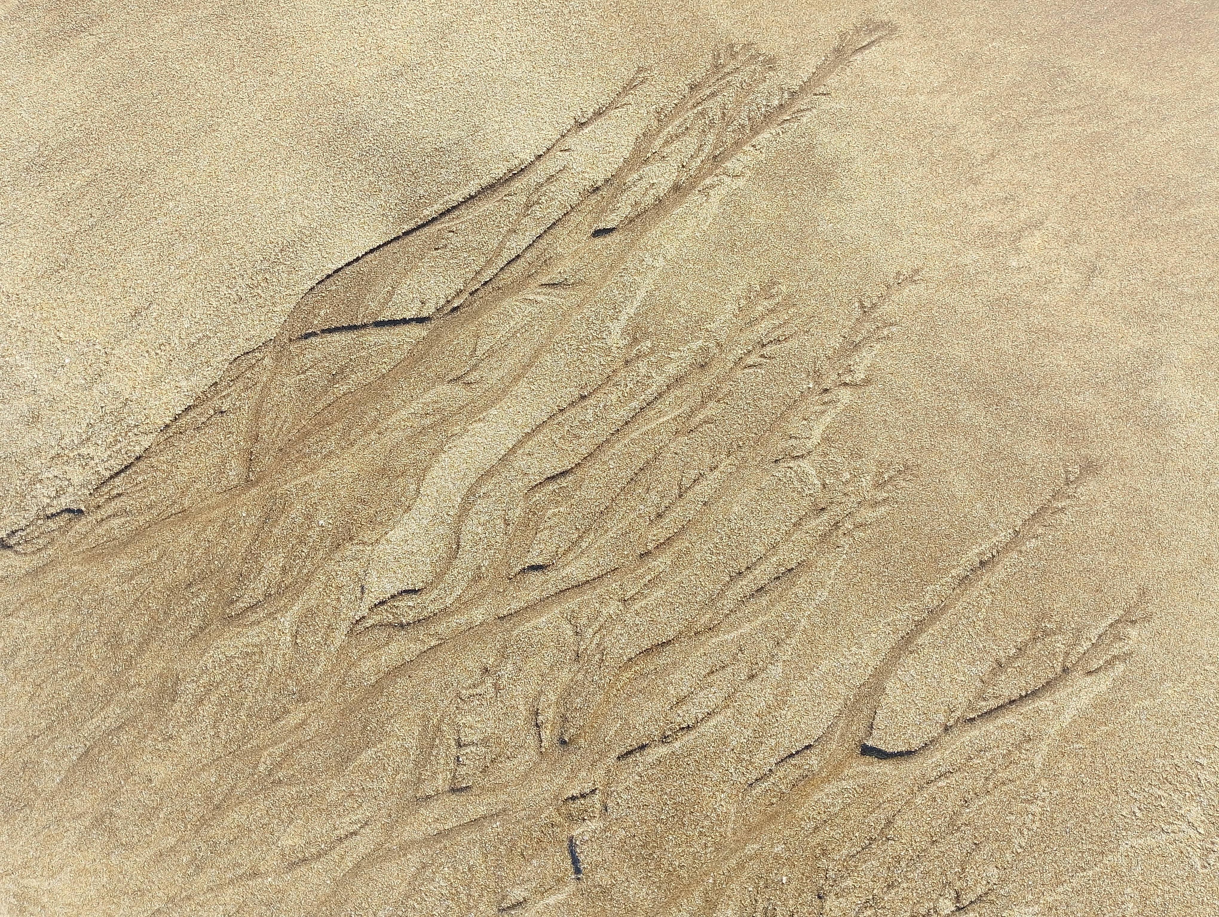 Sediment Texture Photos, Download The BEST Free Sediment Texture Stock ...