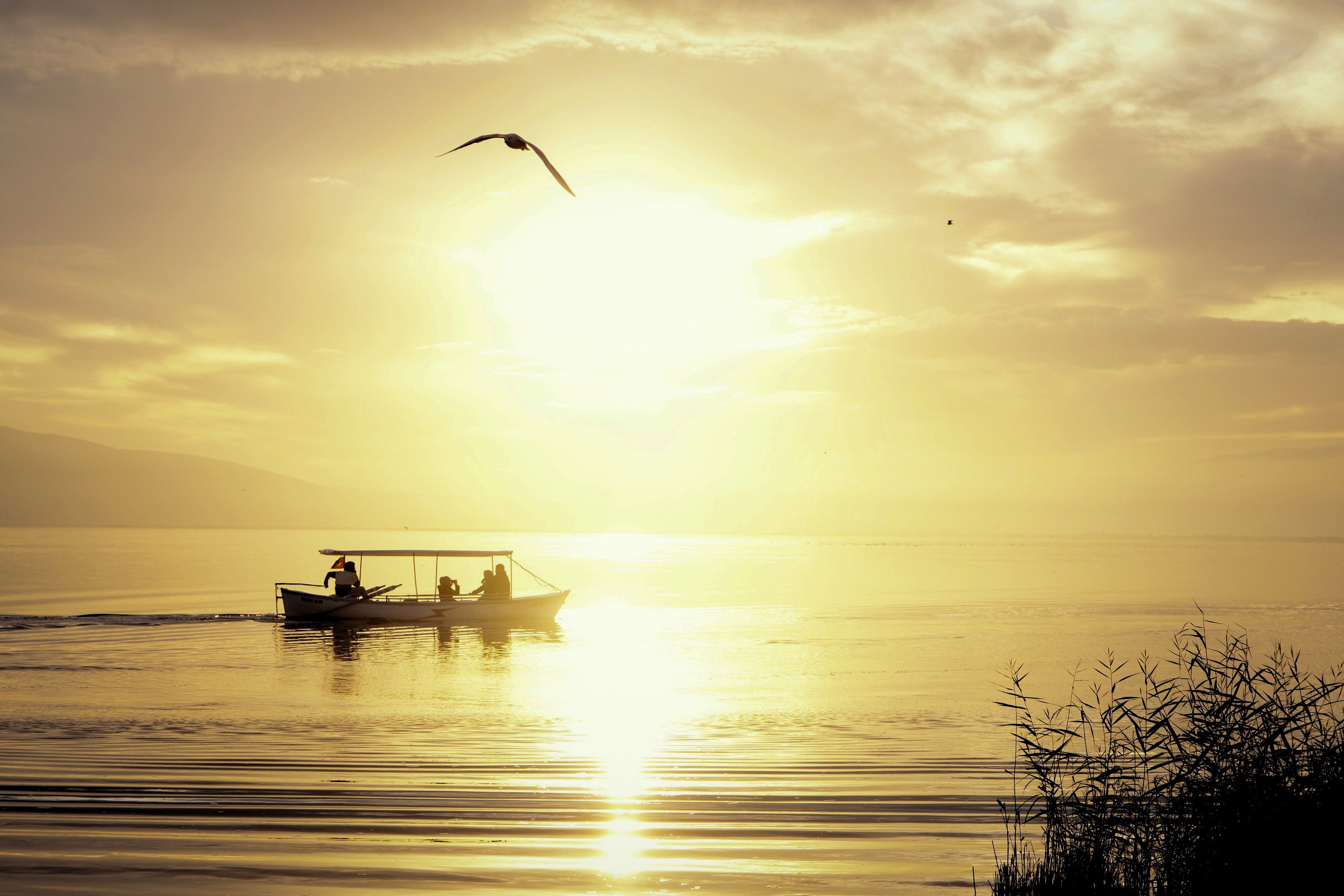 Serene Boat Ride at Golden Sunset · Free Stock Photo