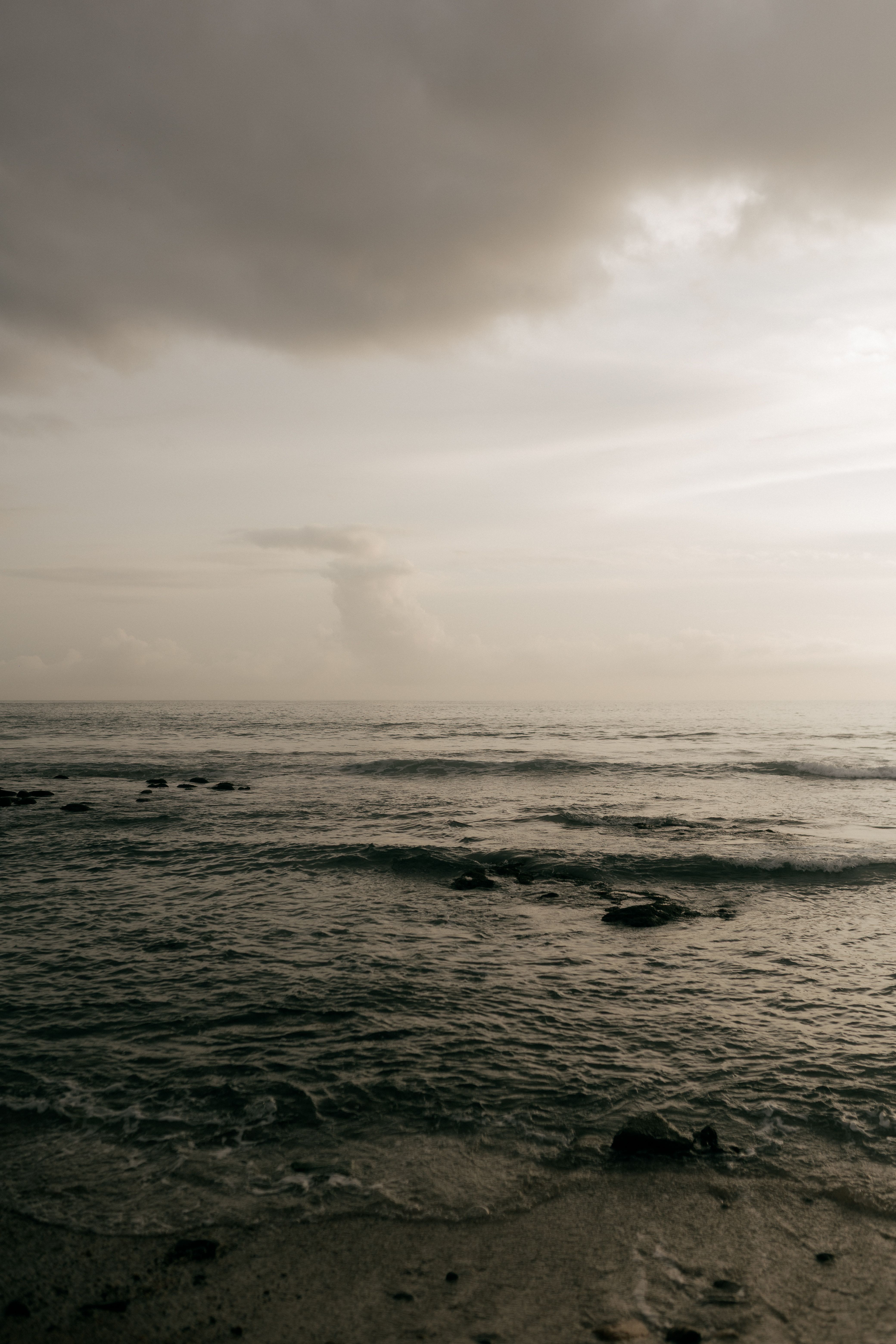 Fog over Sea Shore · Free Stock Photo
