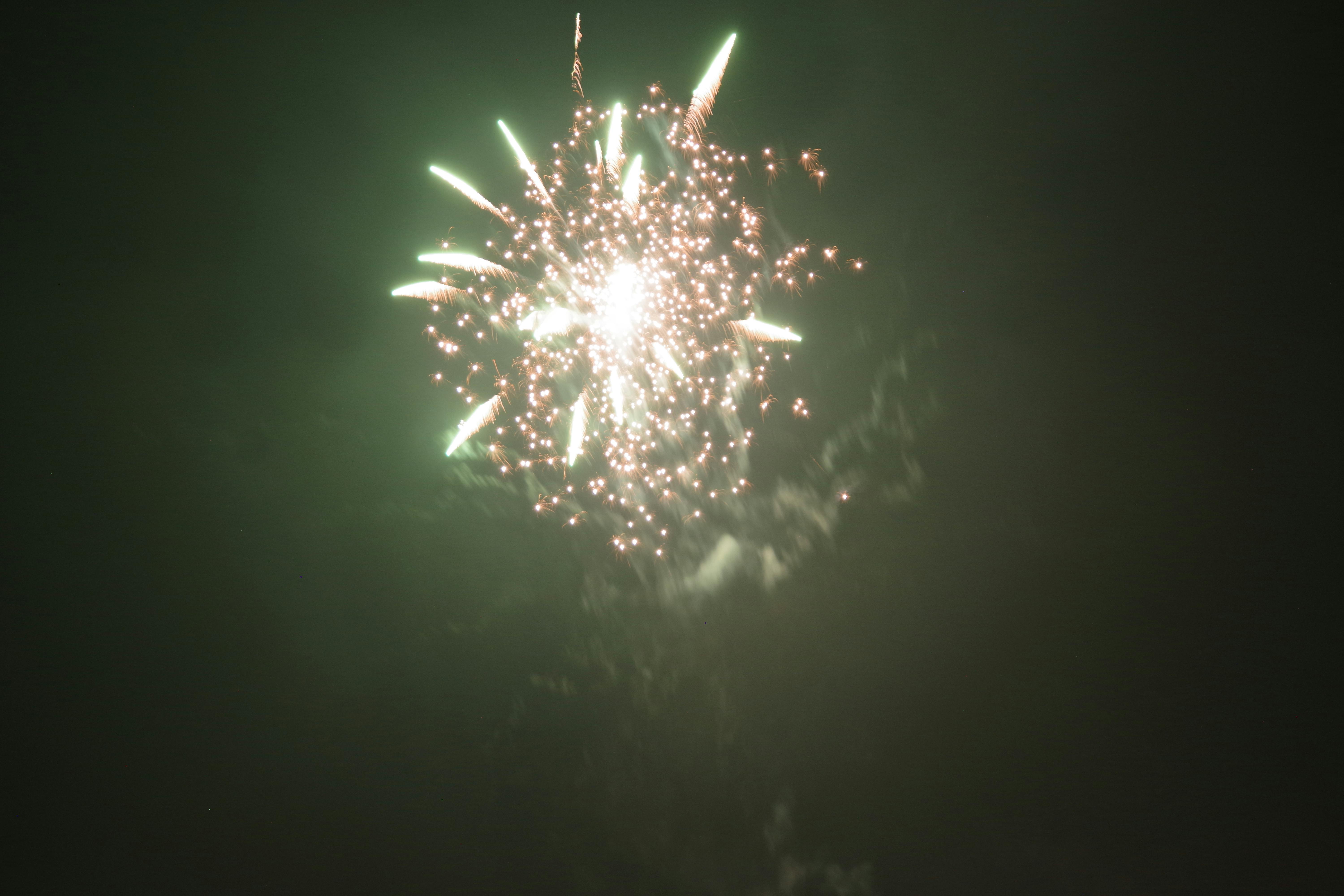 New Years 2020 4 Photos & Videos Collected by shouso boy