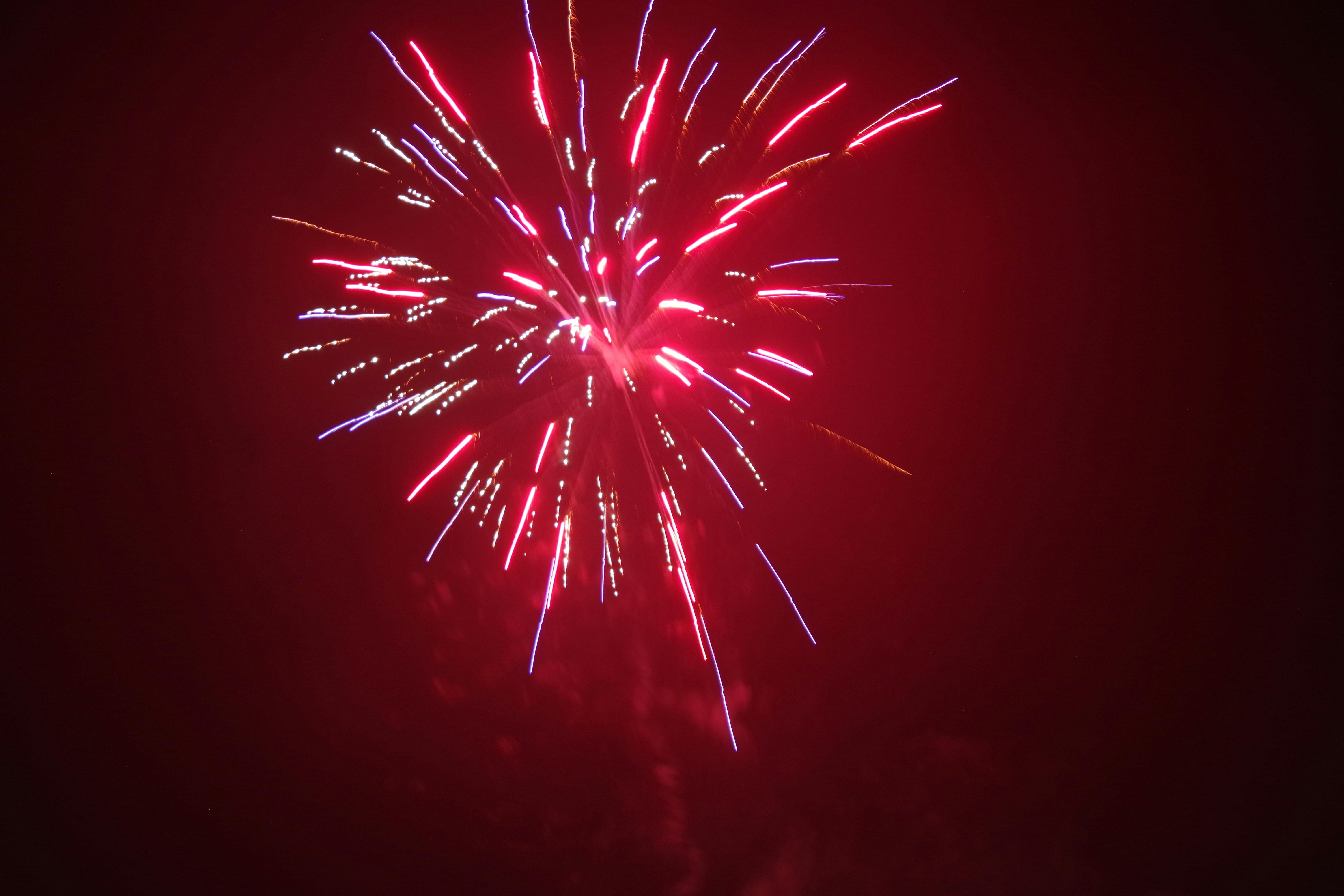 New Years 2020 4 Photos & Videos Collected by shouso boy