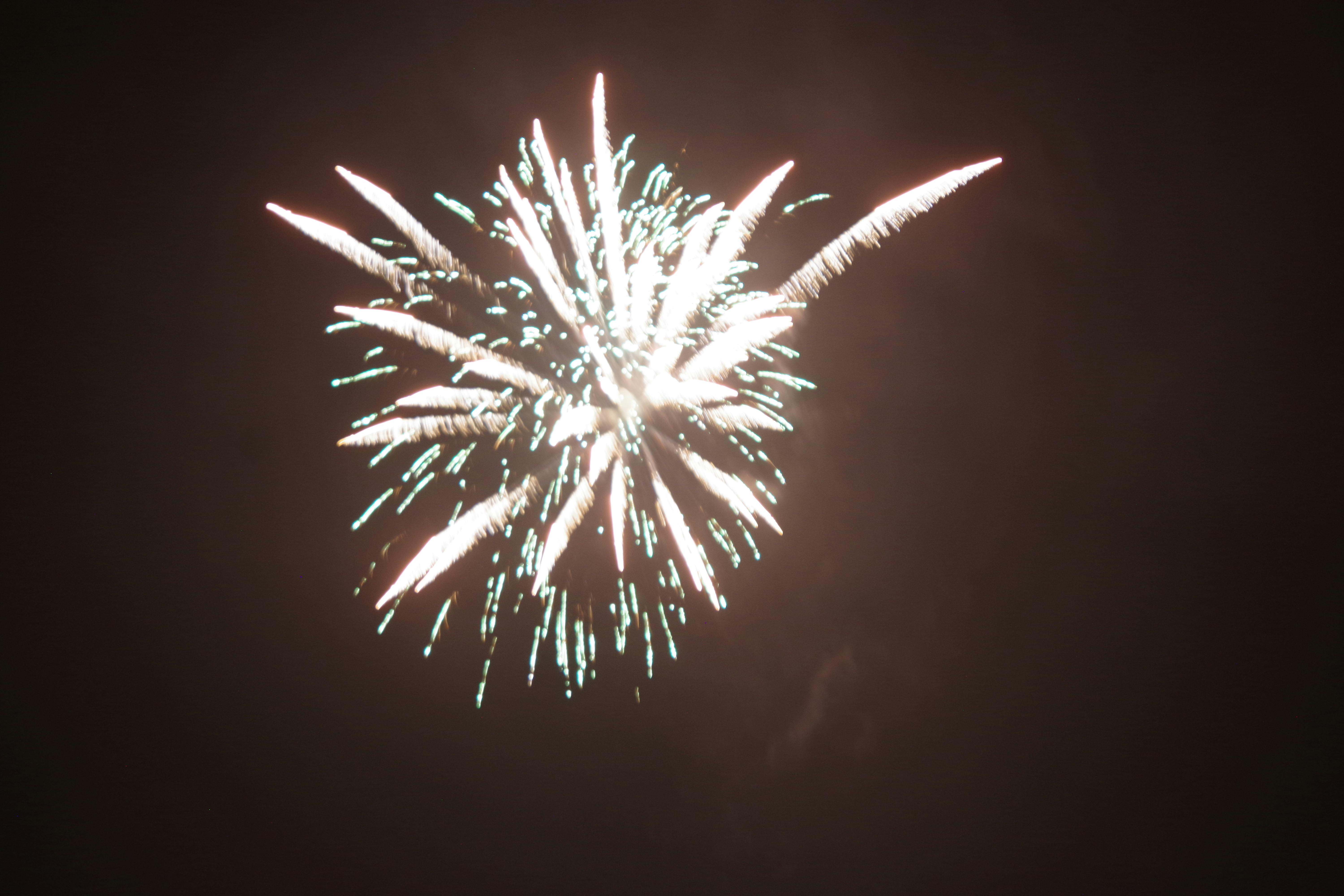 New Years 2020 4 Photos & Videos Collected by shouso boy