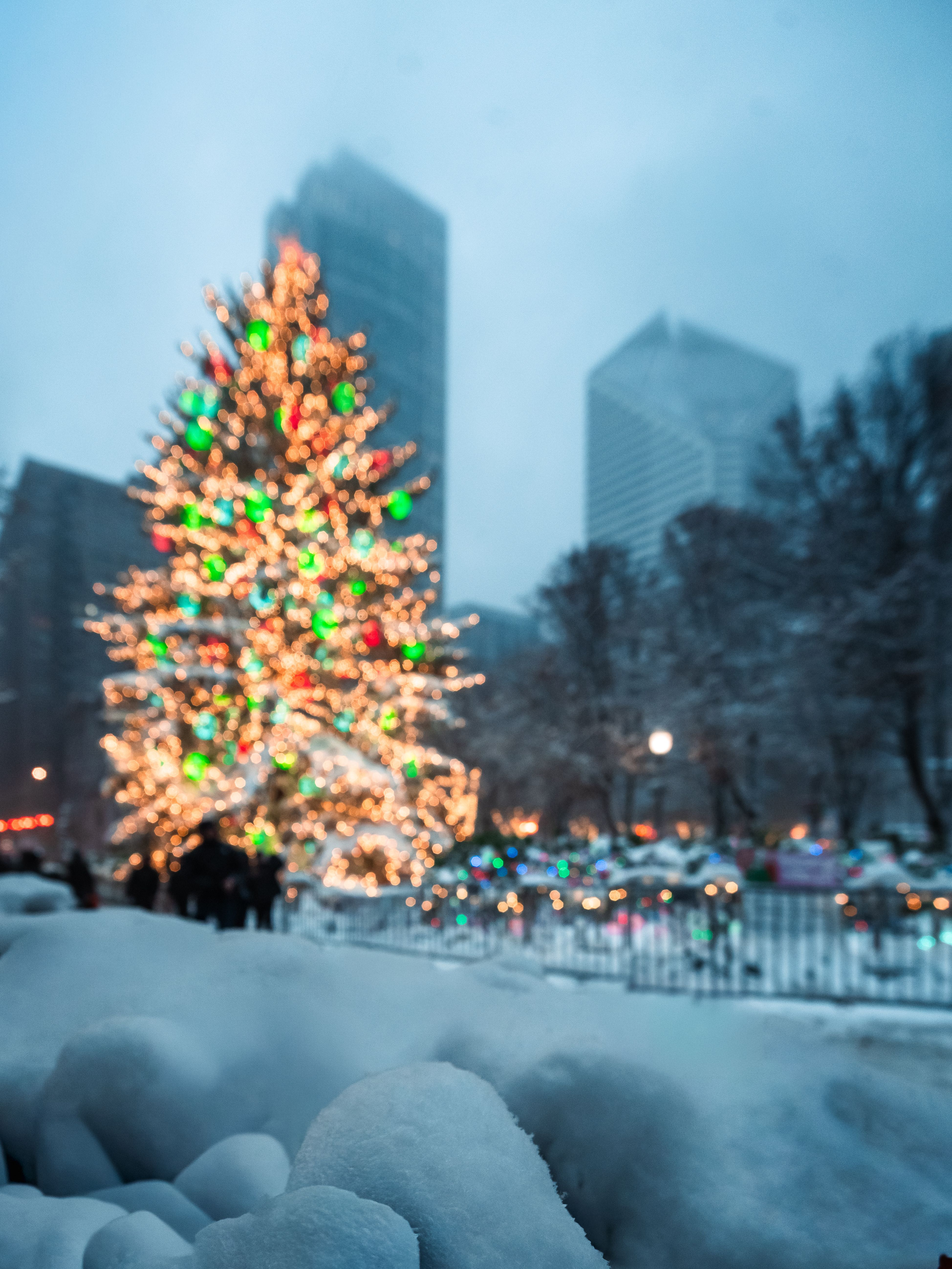 Chicago Christmas Photos, Download The BEST Free Chicago Christmas ...