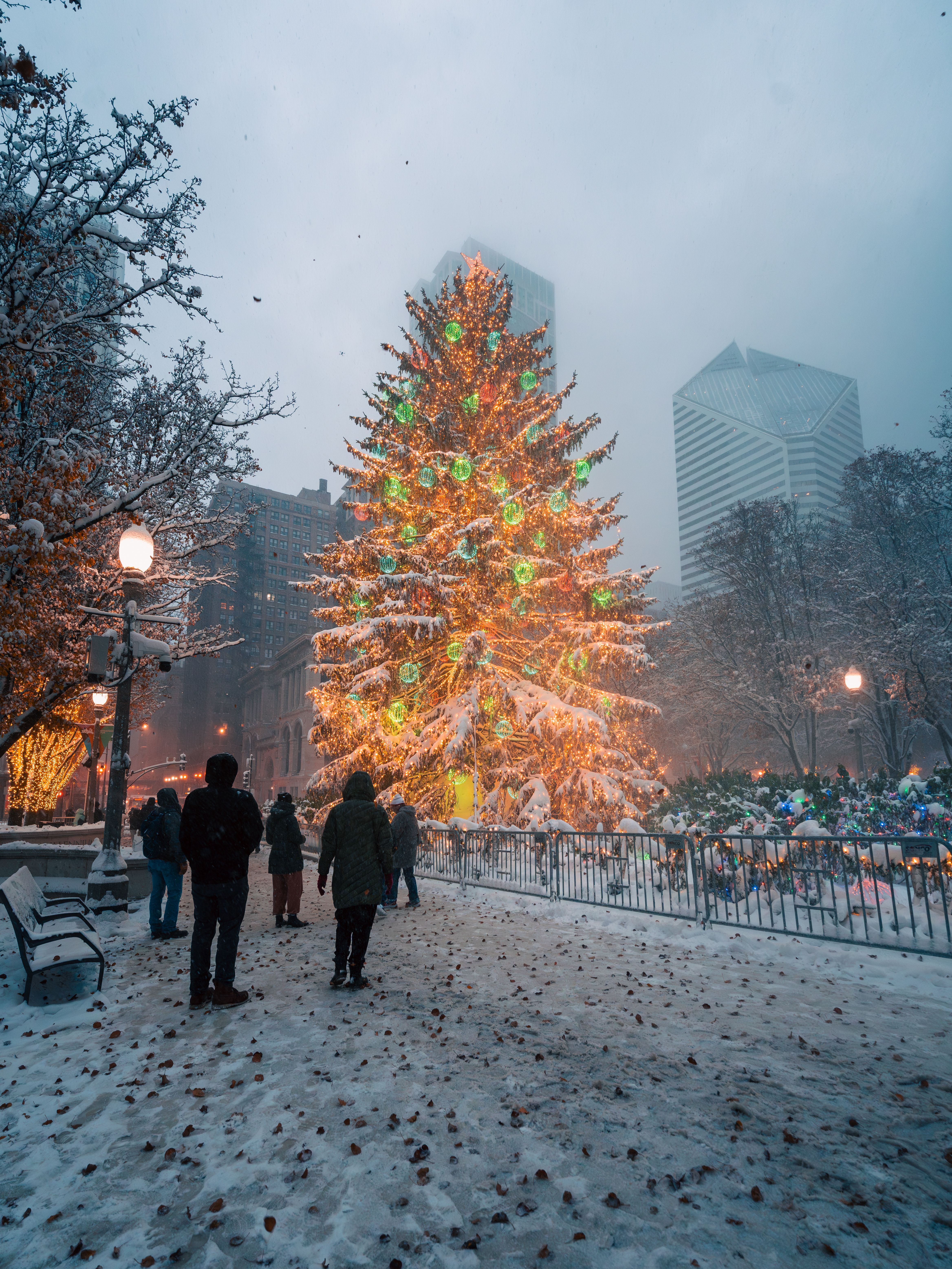 Stunning Christmas Tree in Snowy Urban Park · Free Stock Photo