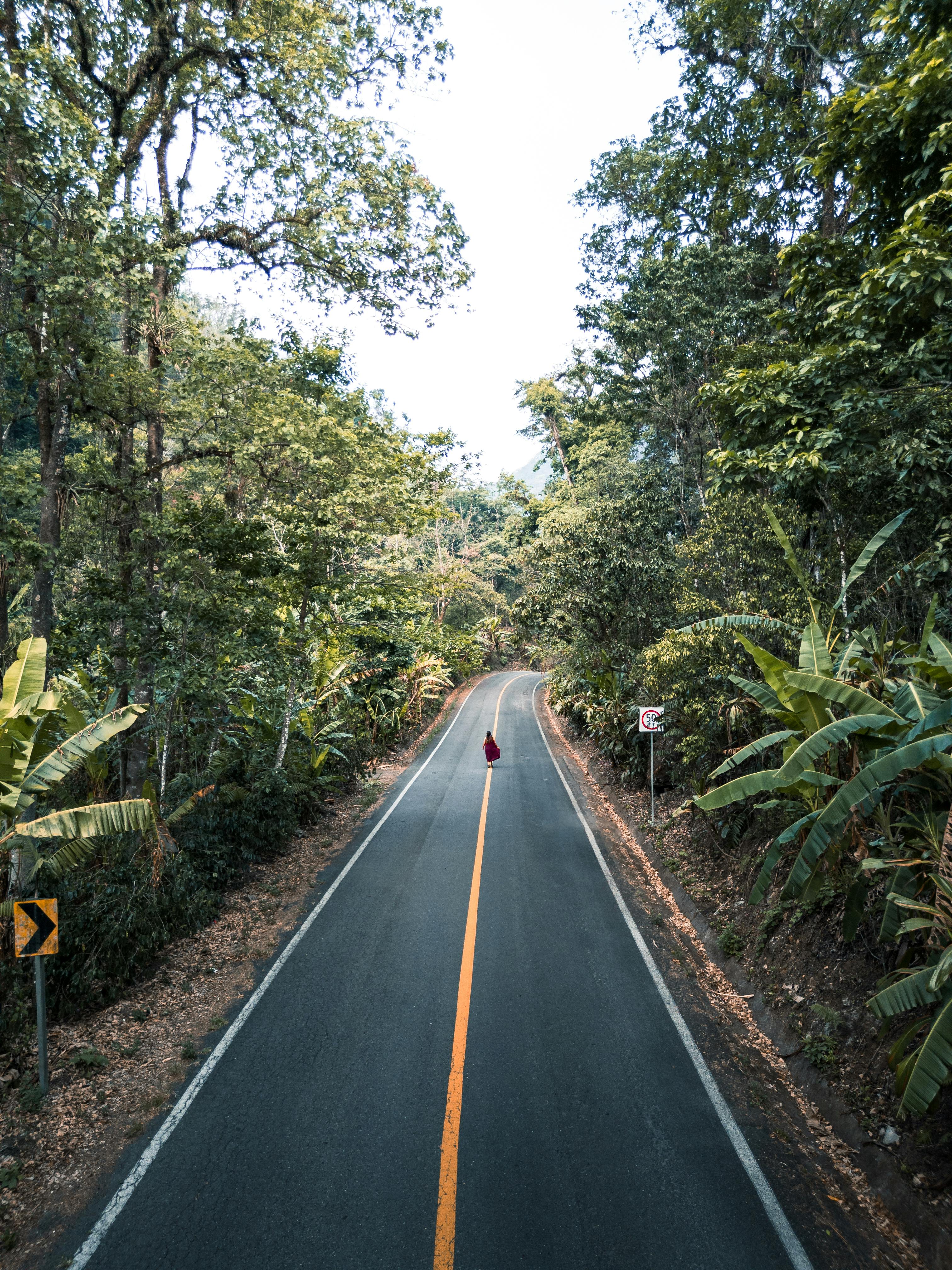 Aerial View of Person Walking on Forest Road · Free Stock Photo