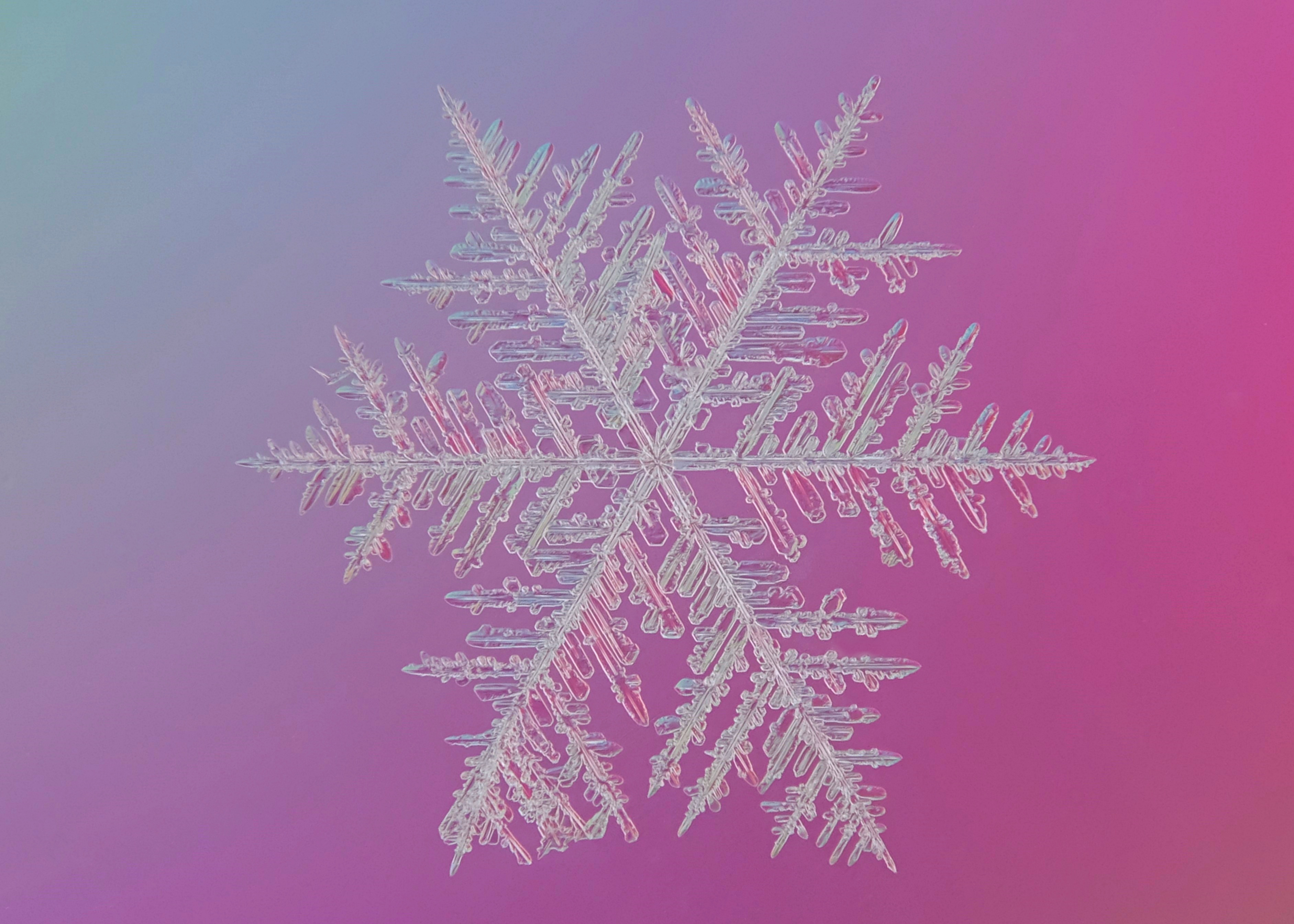 Macrofotografia De Um Floco De Neve Real Em Um Fundo Vibrante. · Foto ...