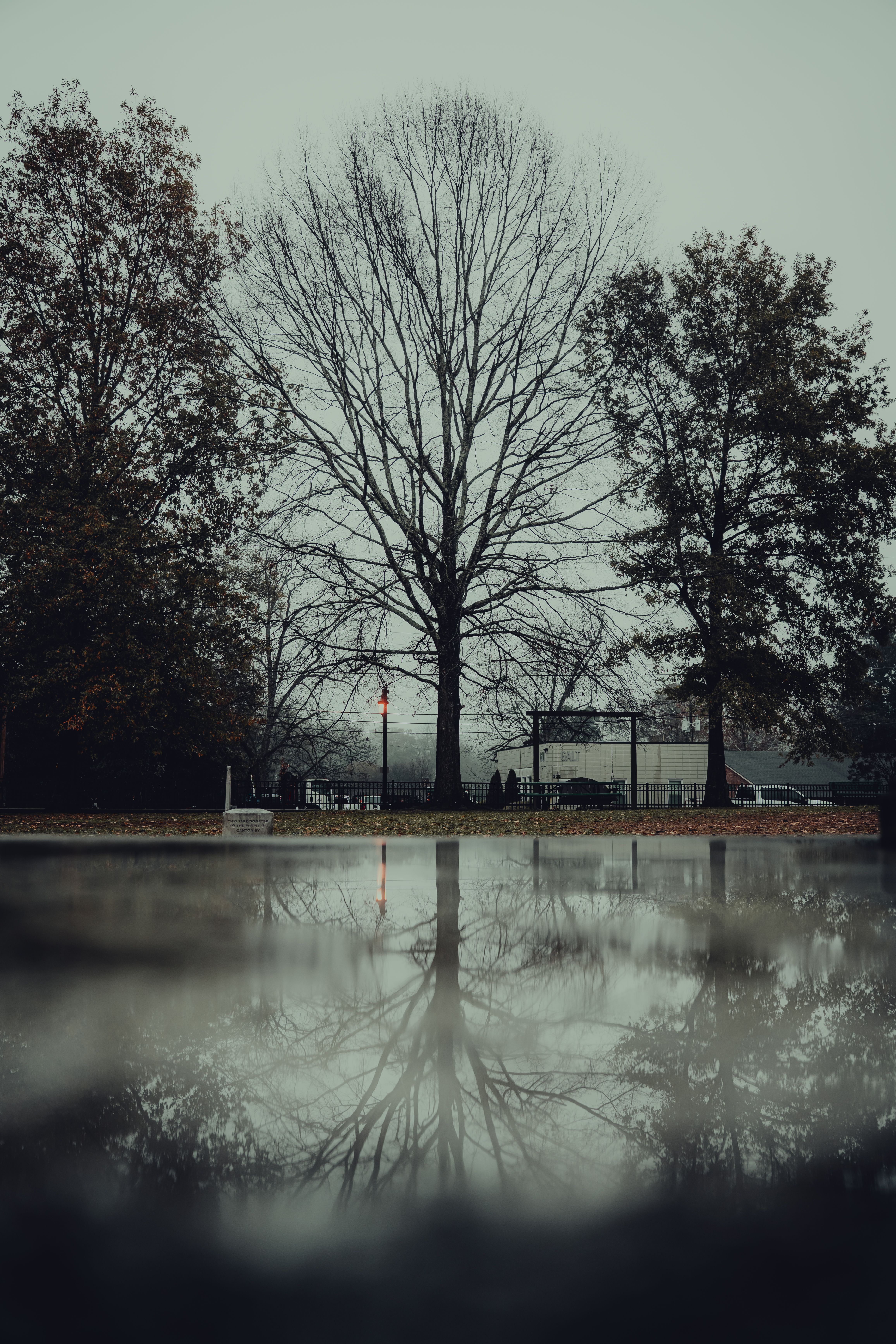 Dull And Blured Backgrounds Photos, Download The BEST Free Dull And ...