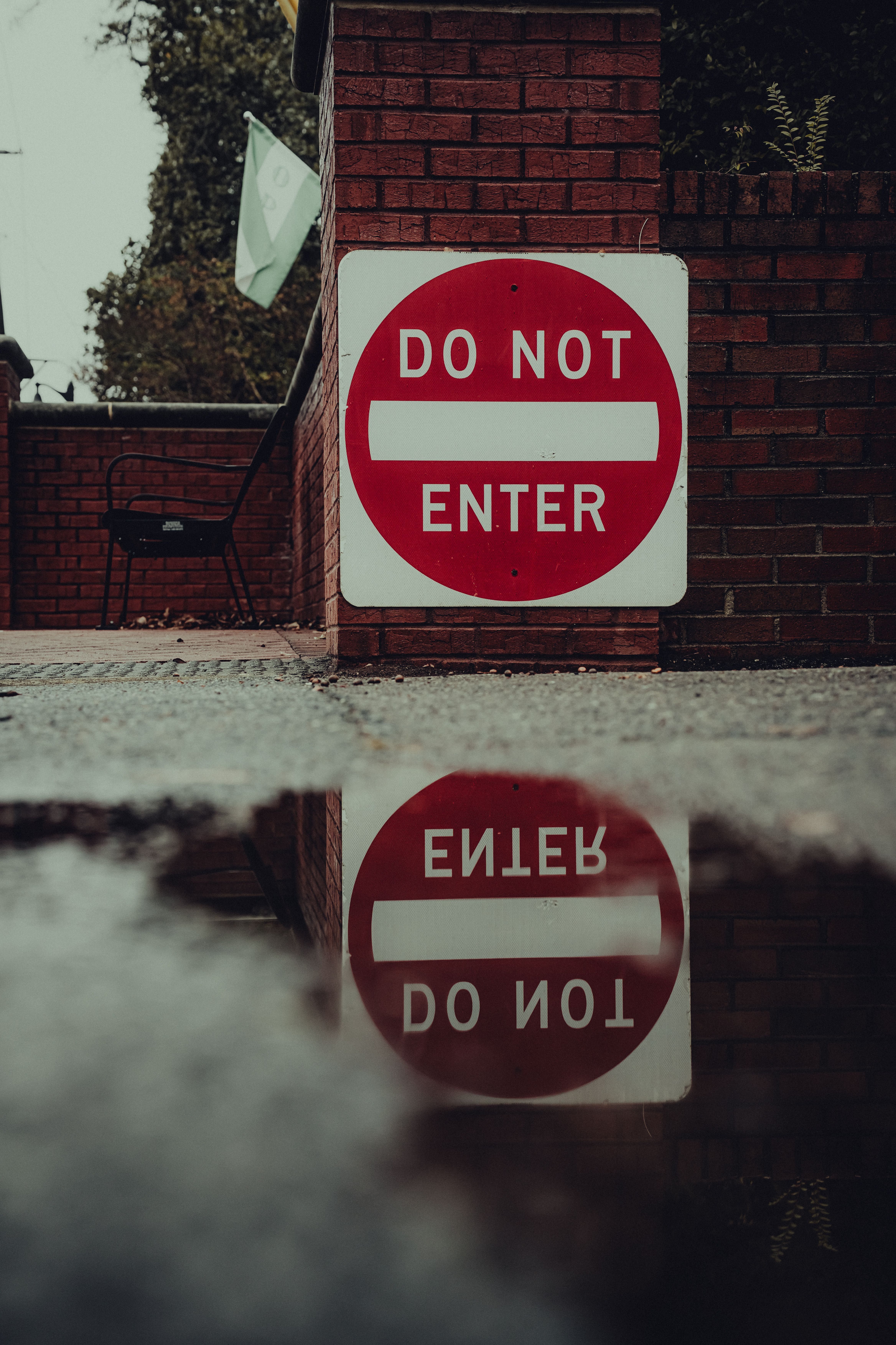 Reflective 'Do Not Enter' Sign on Wet Pavement · Free Stock Photo