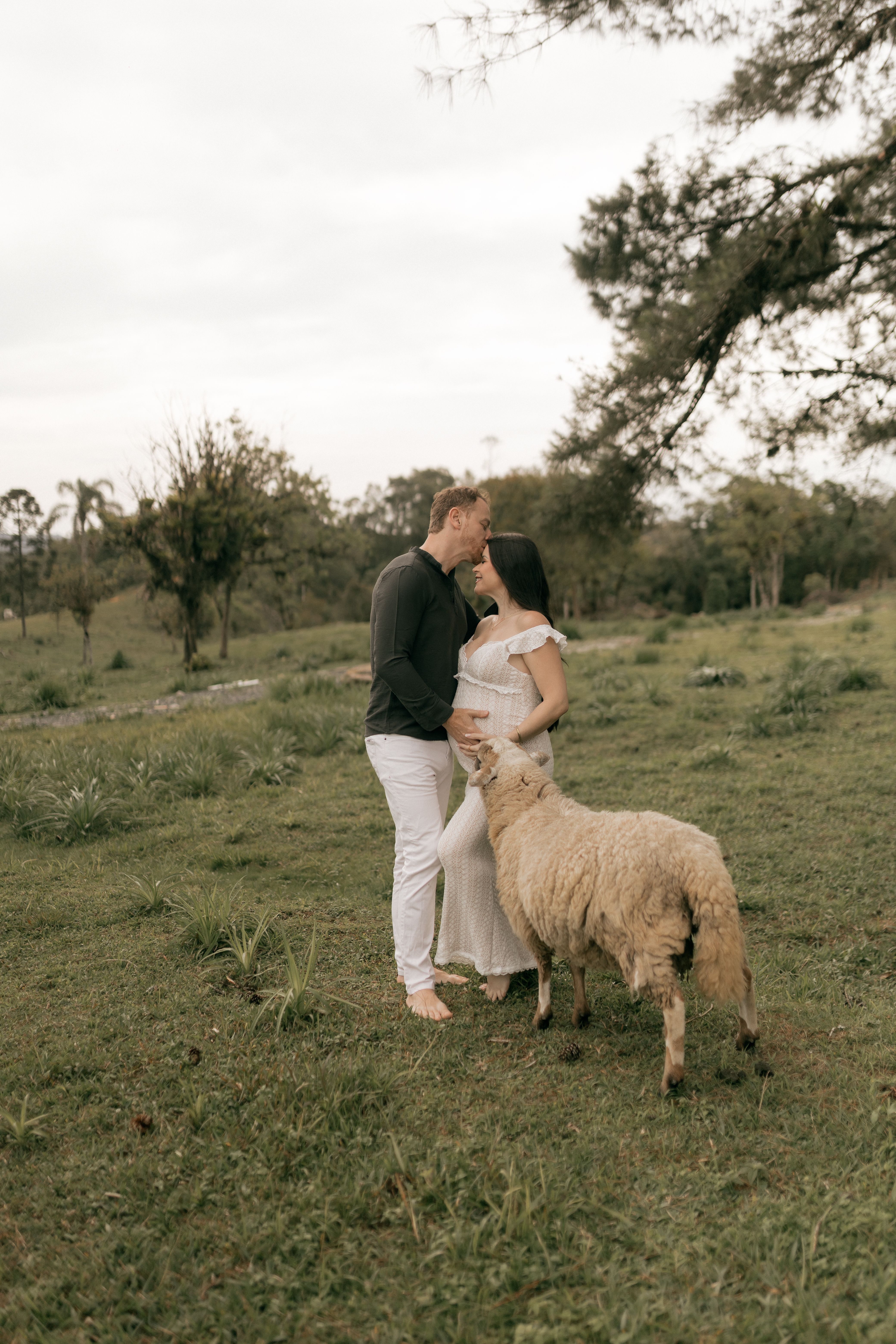Loving Couple Photos, Download The BEST Free Loving Couple Stock Photos ...