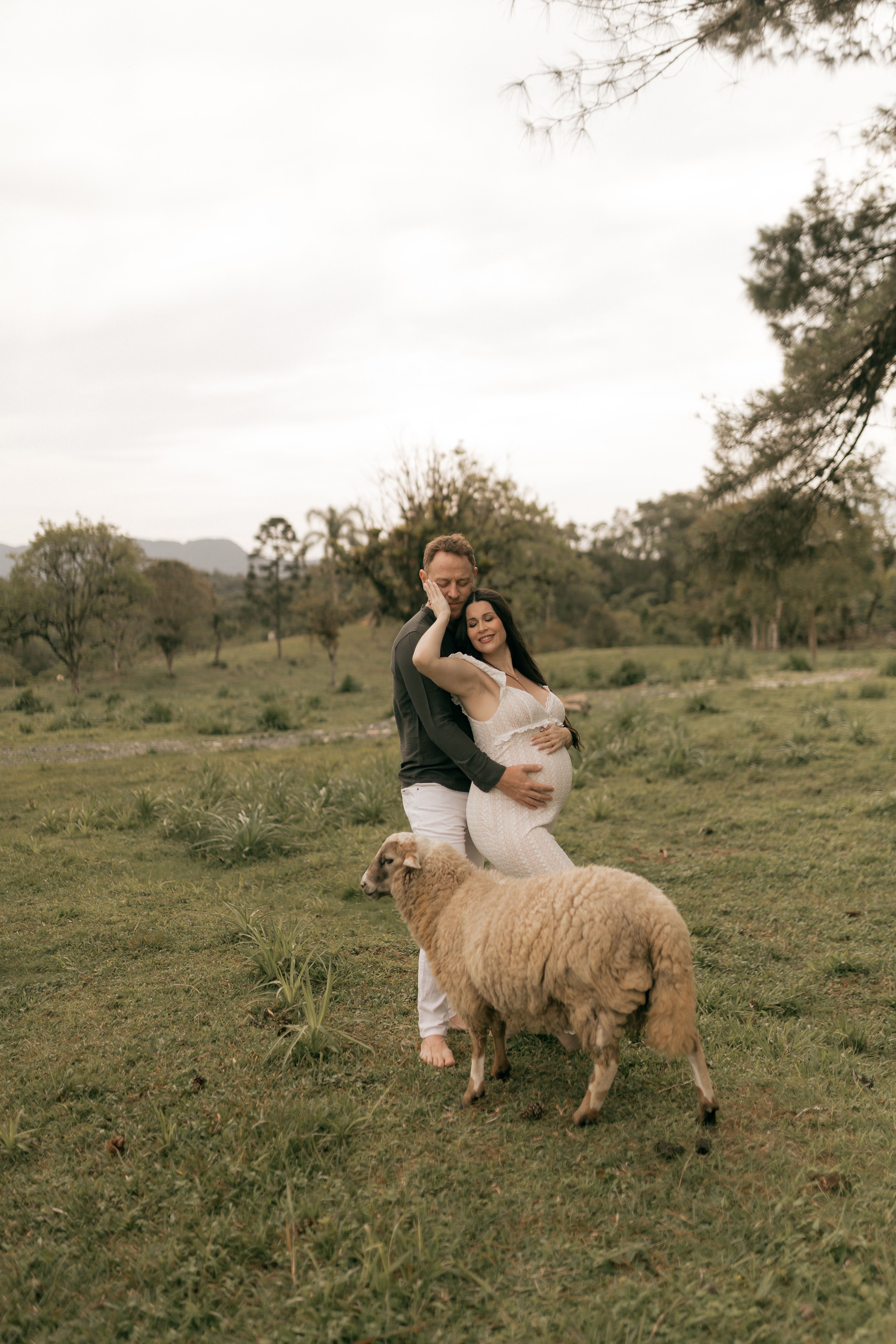 Pregnant Couple in Pastoral Setting with Sheep · Free Stock Photo
