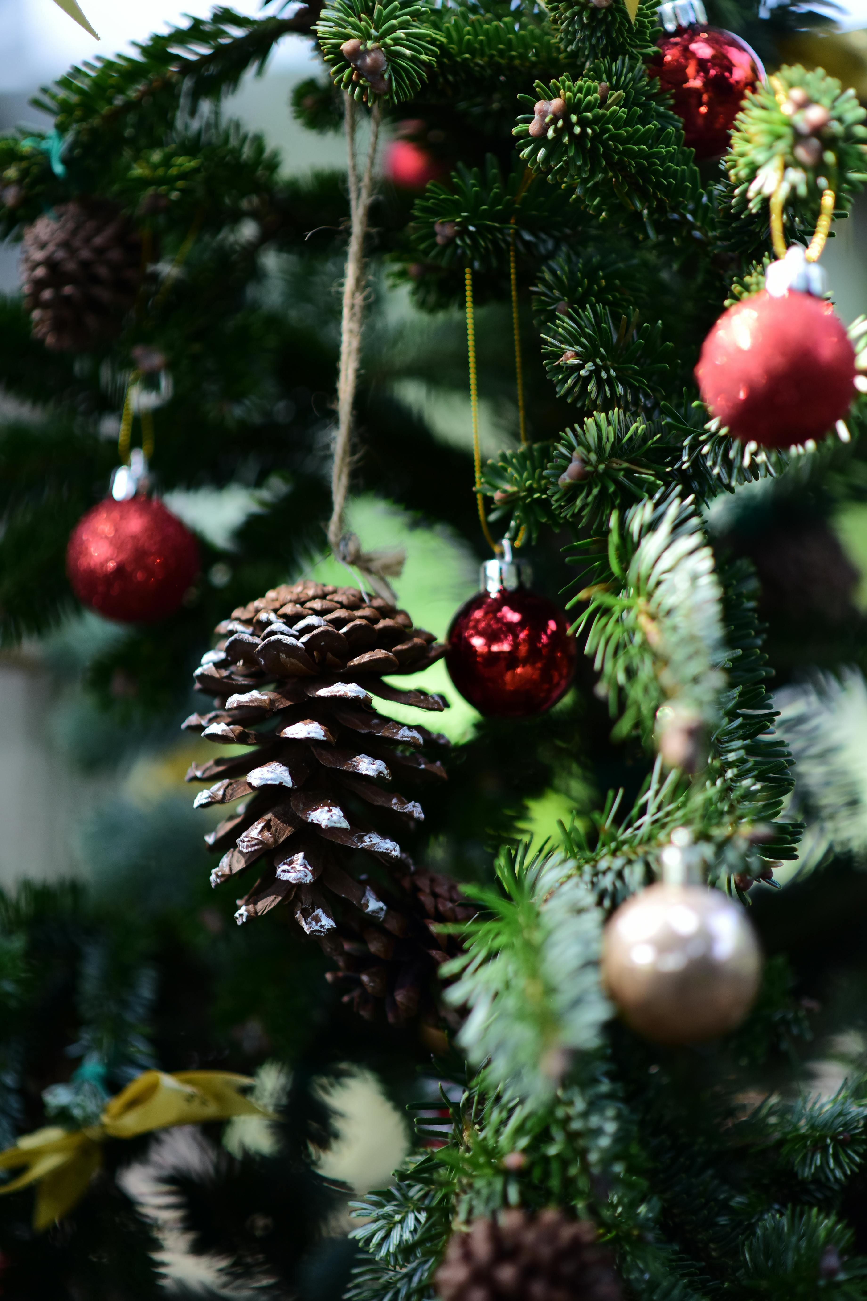 Nature In November Photos, Download The BEST Free Nature In November ...