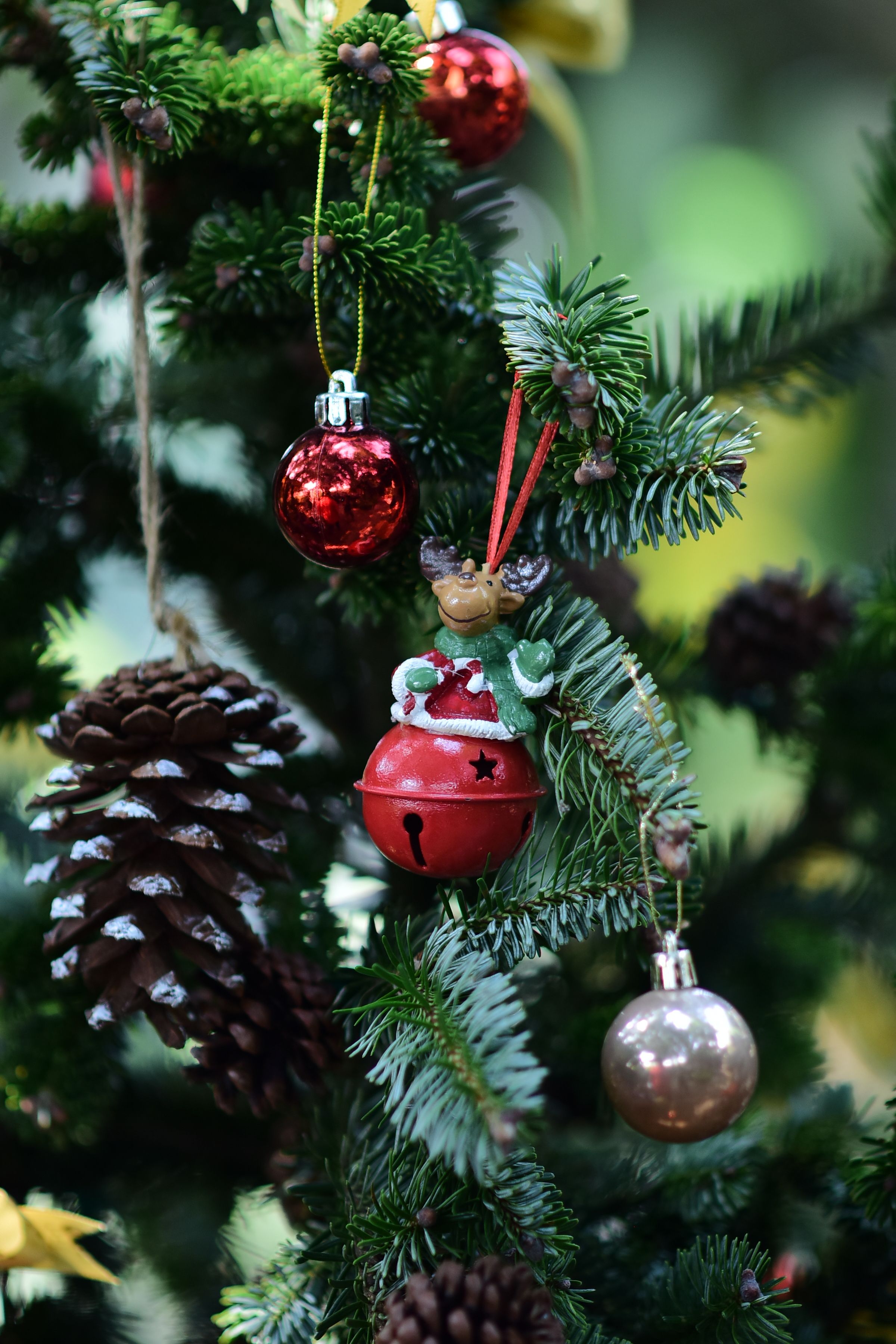Festive Christmas Tree Decorations with Ornaments · Free Stock Photo