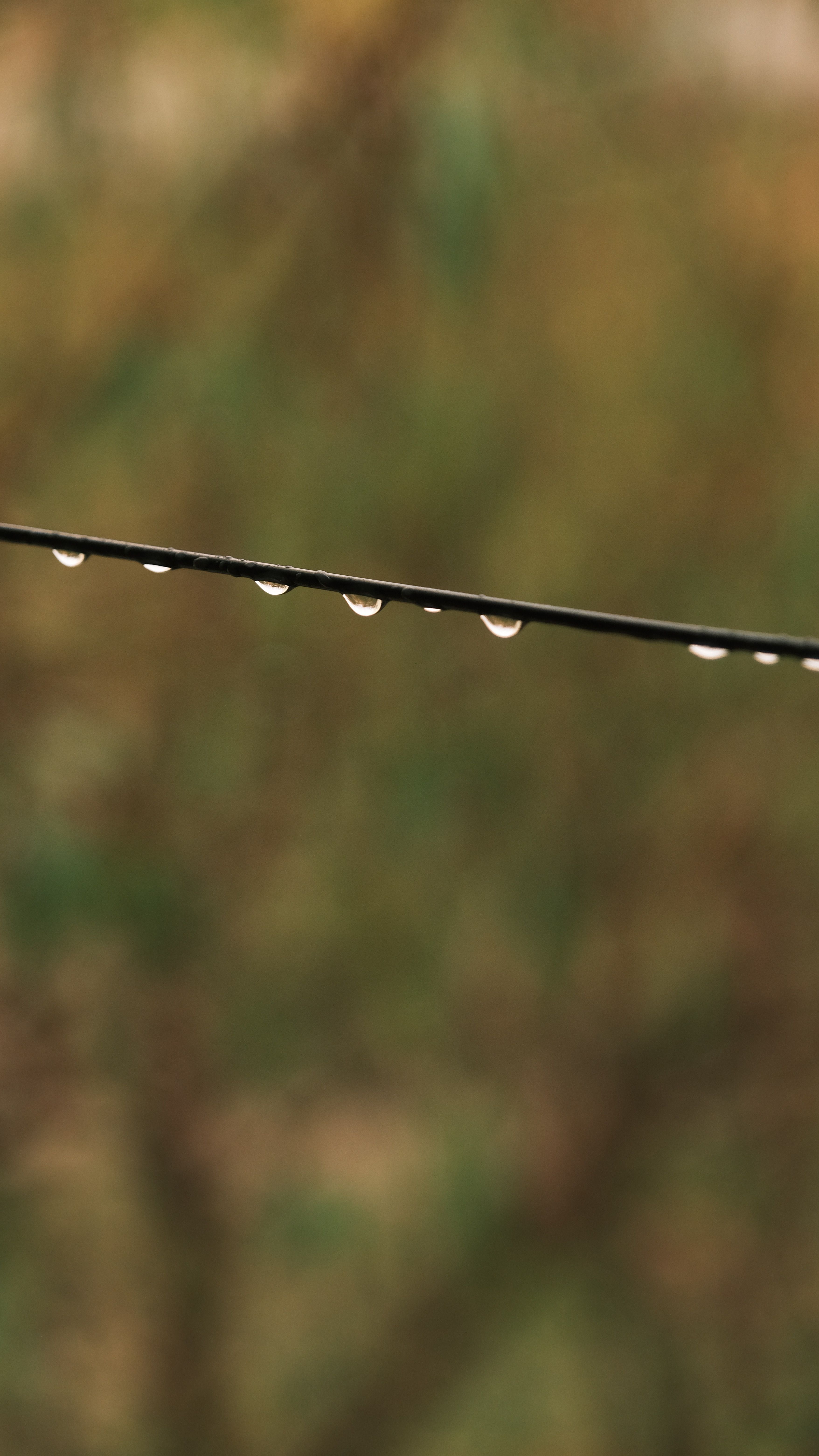 Barish Wallpaper Photos, Download The BEST Free Barish Wallpaper Stock ...