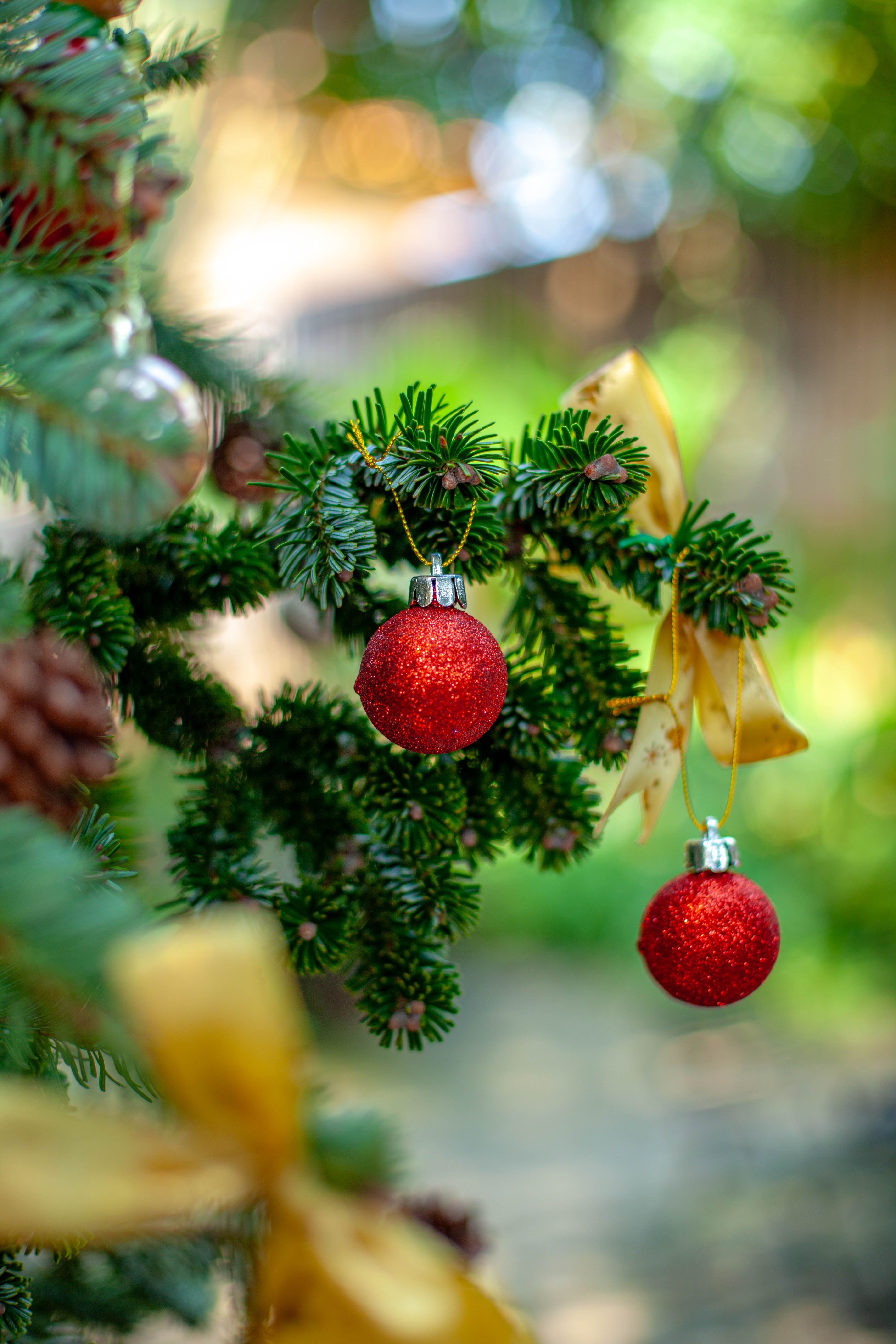 Close-up of Festive Christmas Tree Decorations · Free Stock Photo