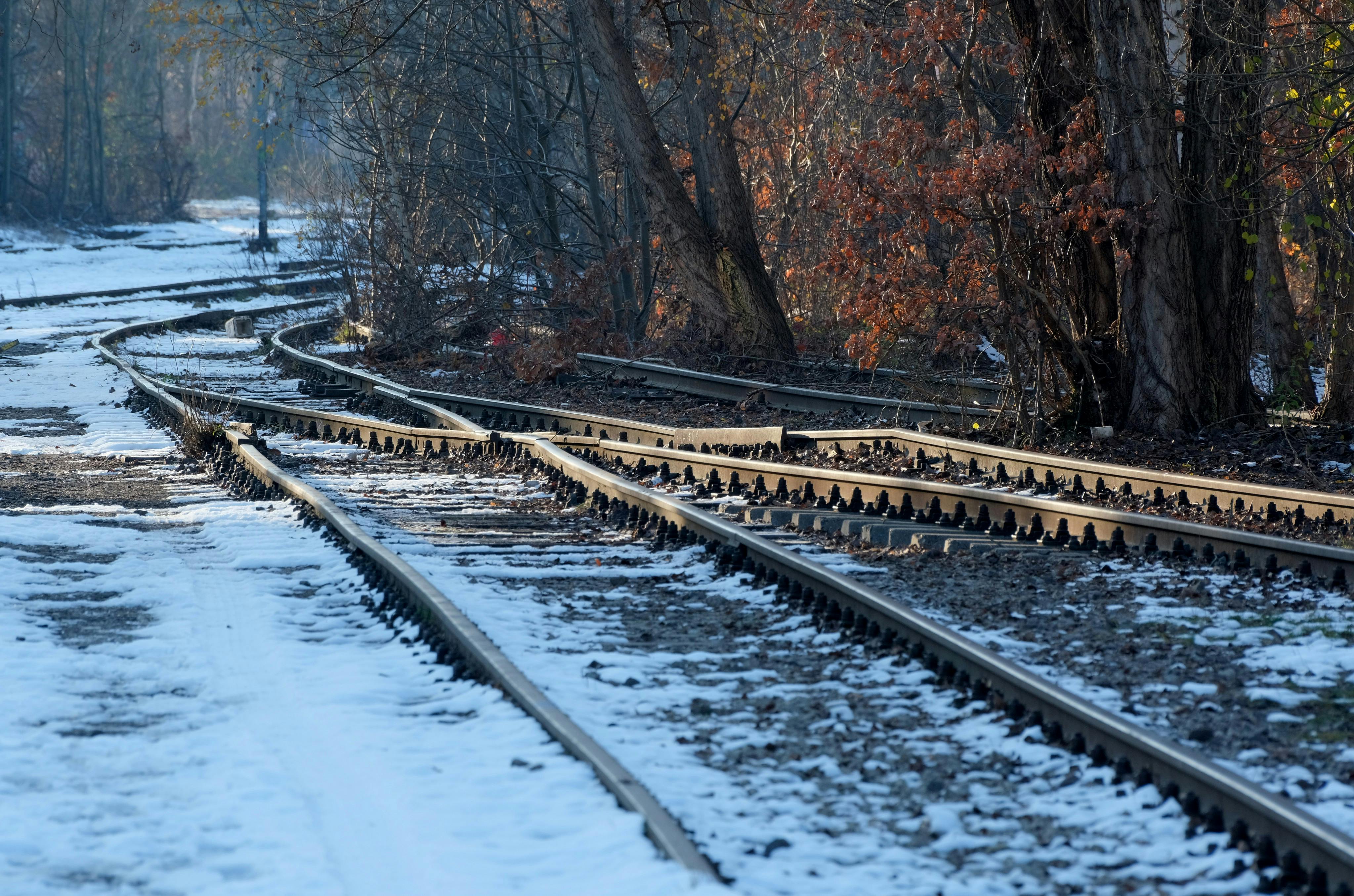 Snowy Railroad Tracks in Winter Forest · Free Stock Photo