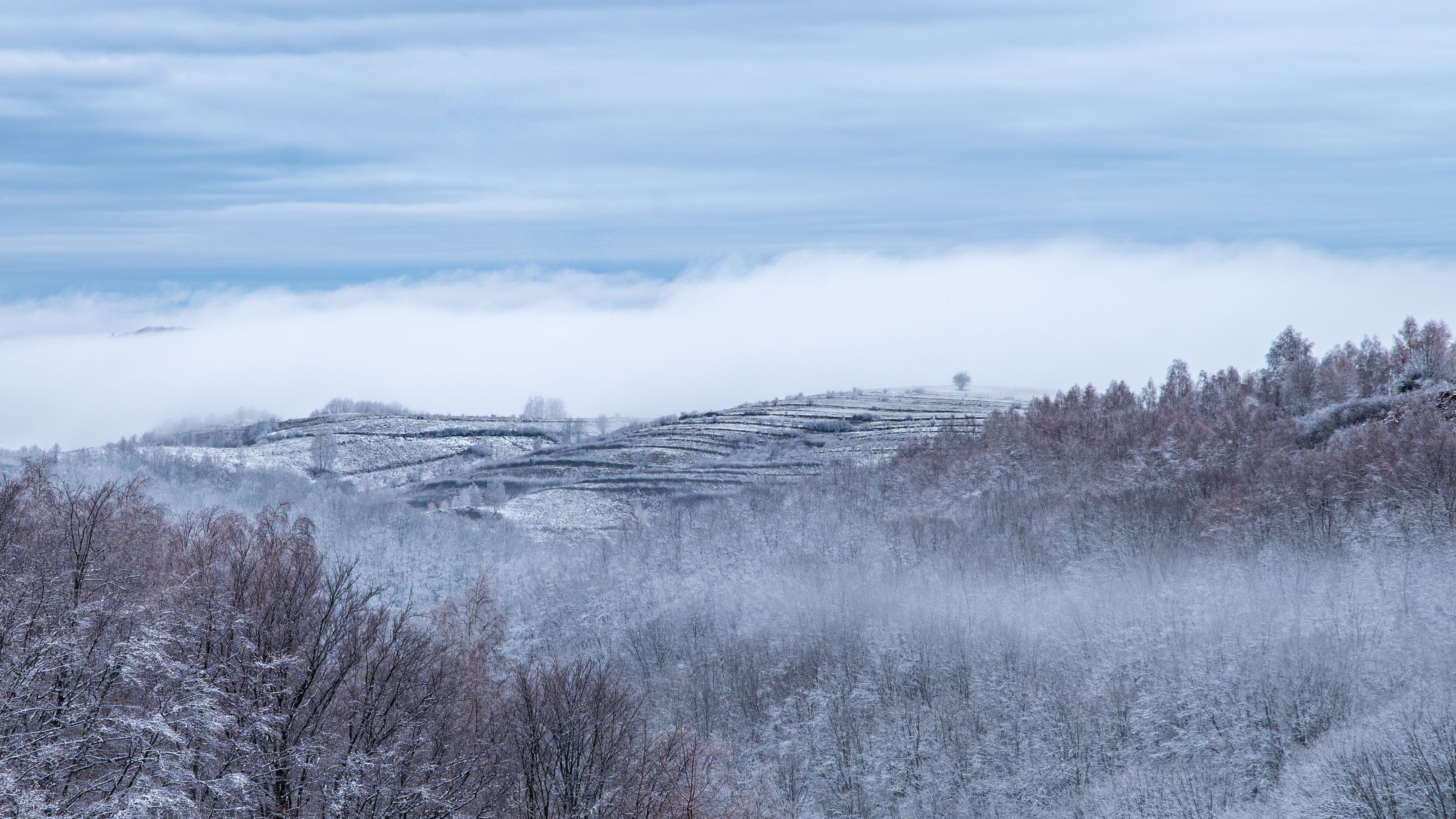 Serene Winter Landscape with Misty Mountains · Free Stock Photo