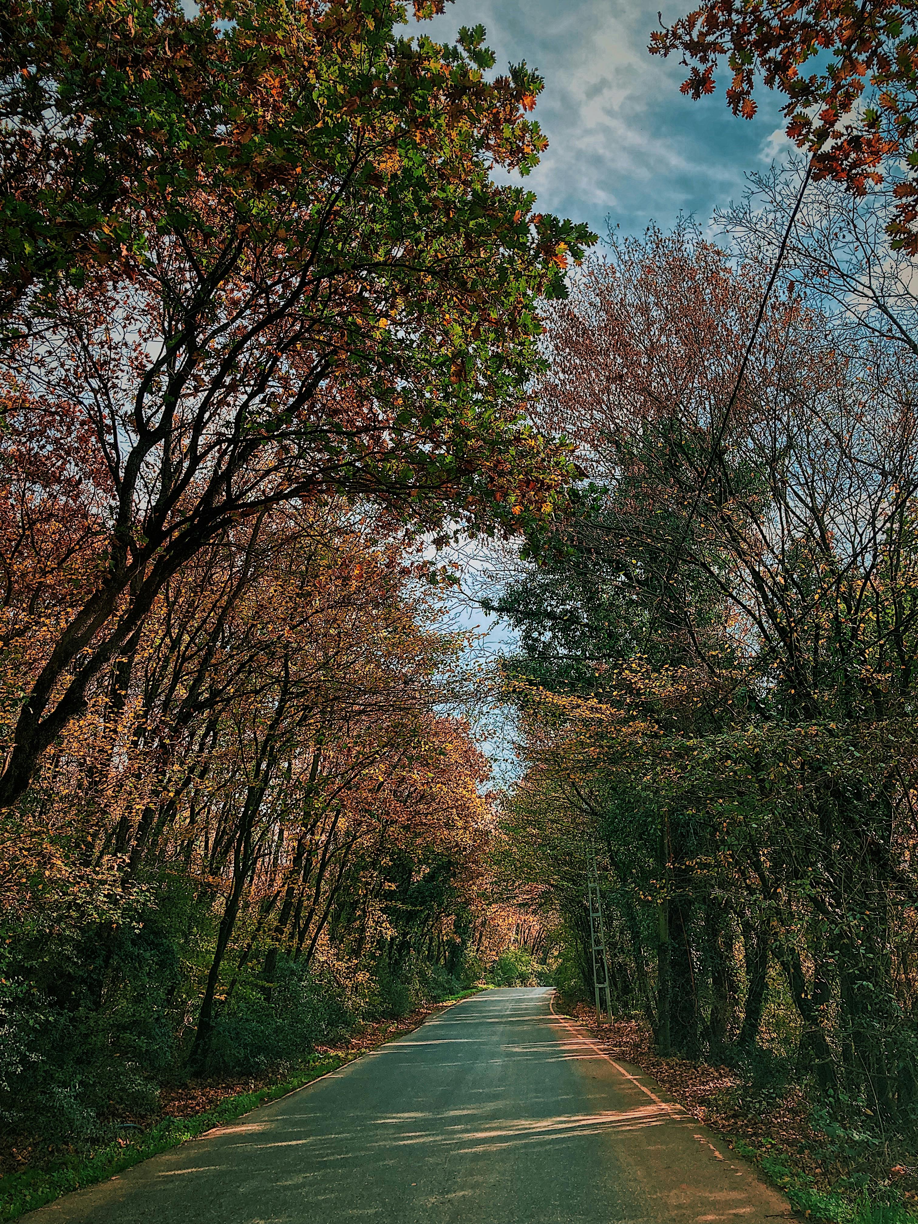 Nature In November Photos, Download The BEST Free Nature In November ...