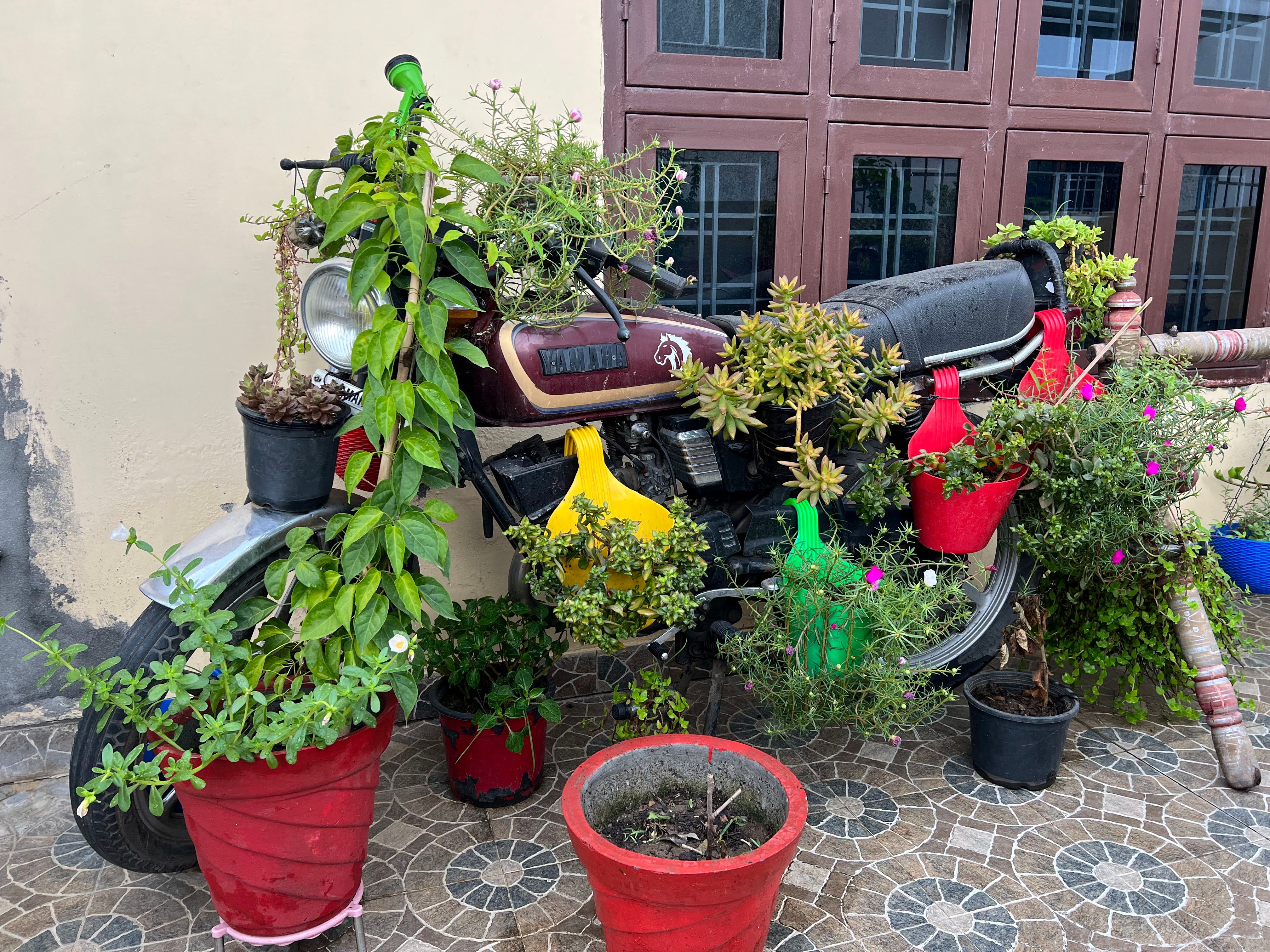 Vintage Motorcycle Transformed into Unique Plant Stand · Free Stock Photo