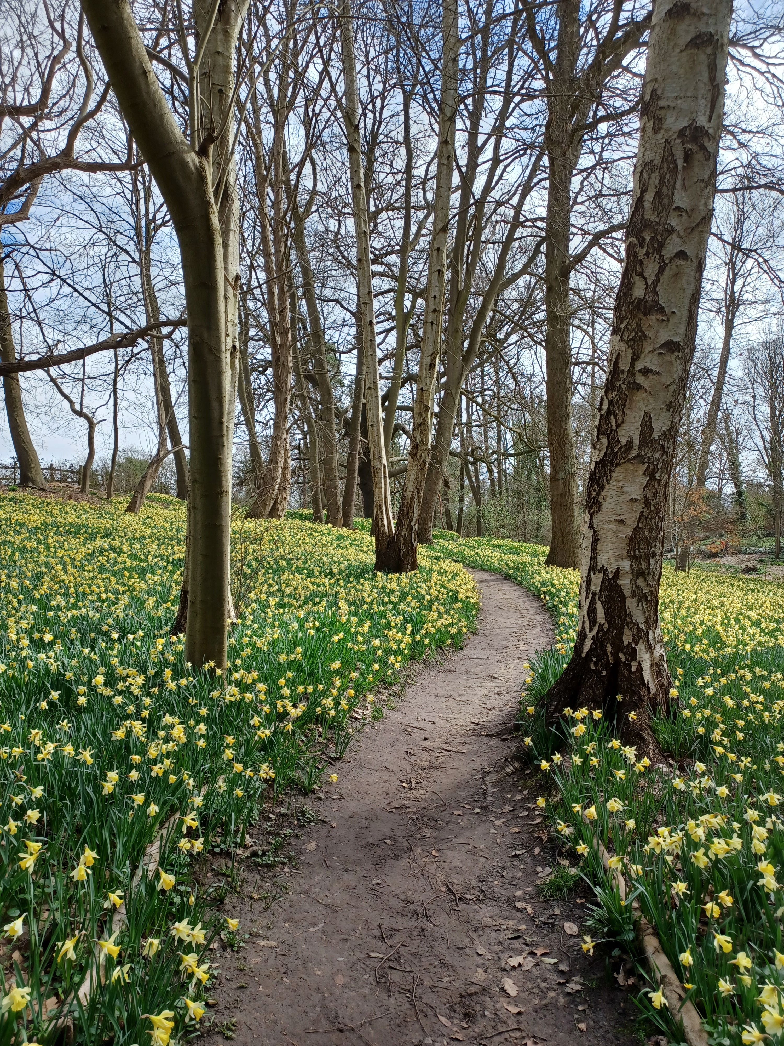 Serene Spring Landscape at Wisley Gardens · Free Stock Photo