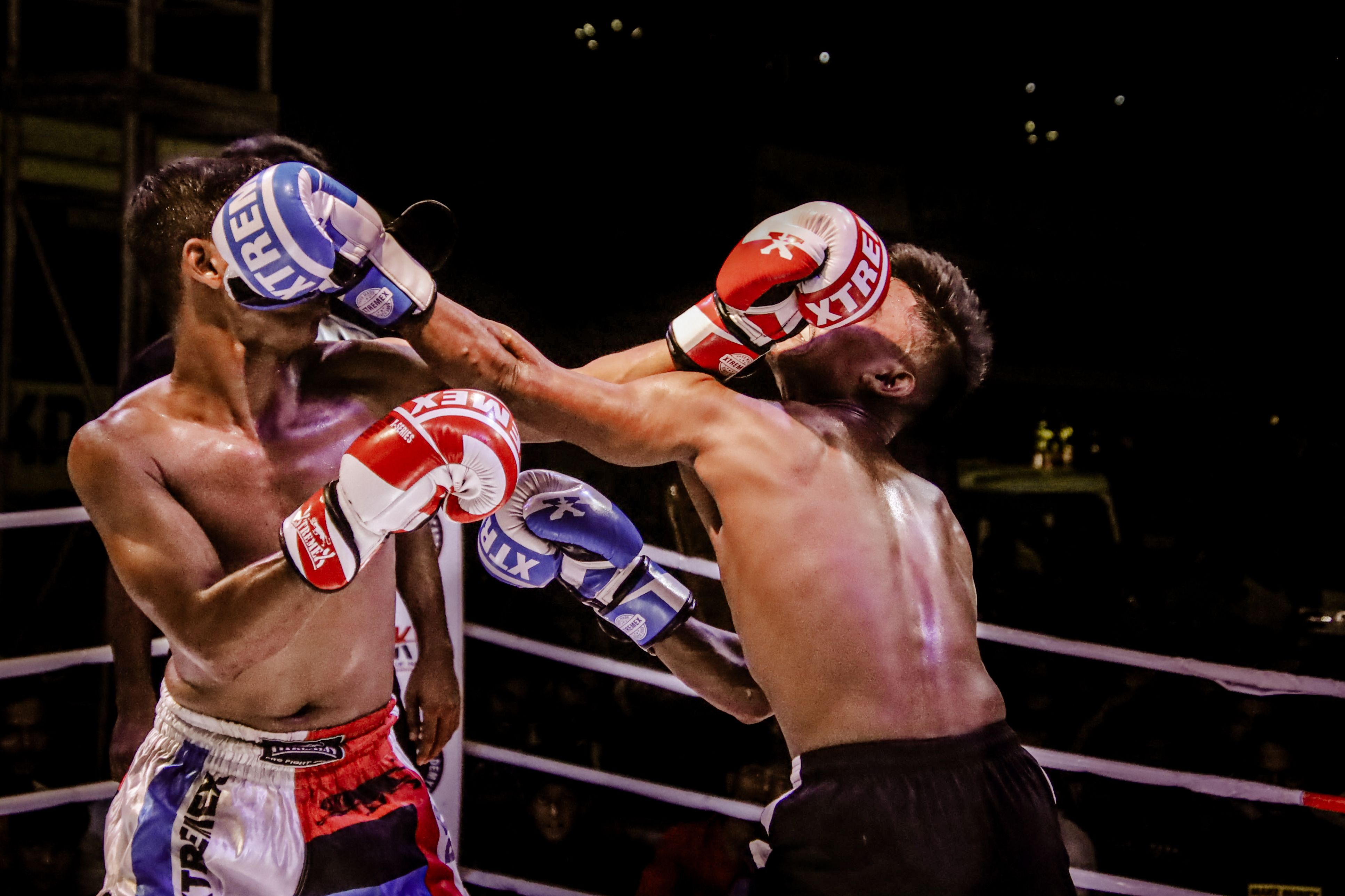 Two Boxers Fighting Each Other · Free Stock Photo