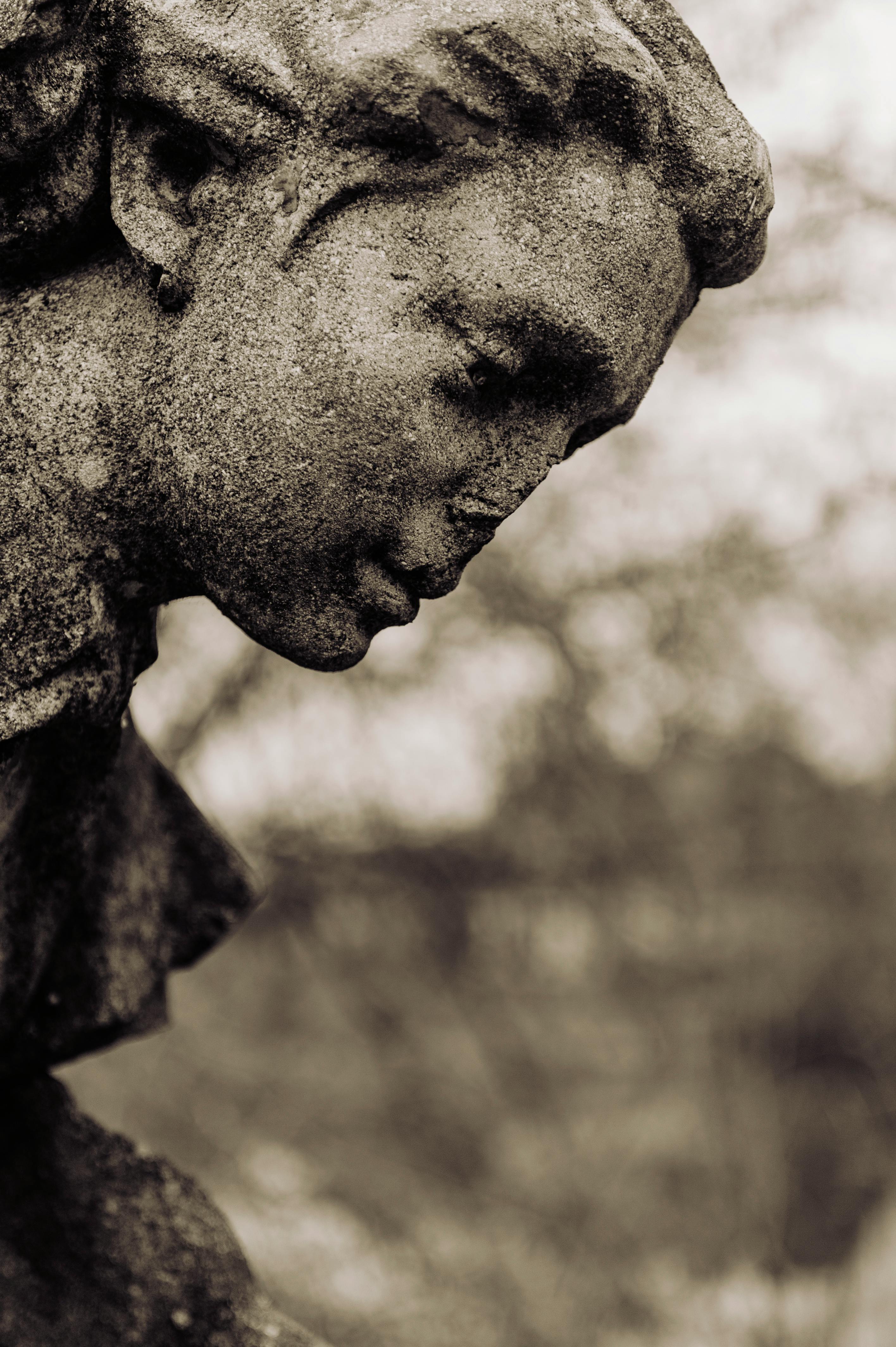 Angel Faces Photos, Download The BEST Free Angel Faces Stock Photos ...