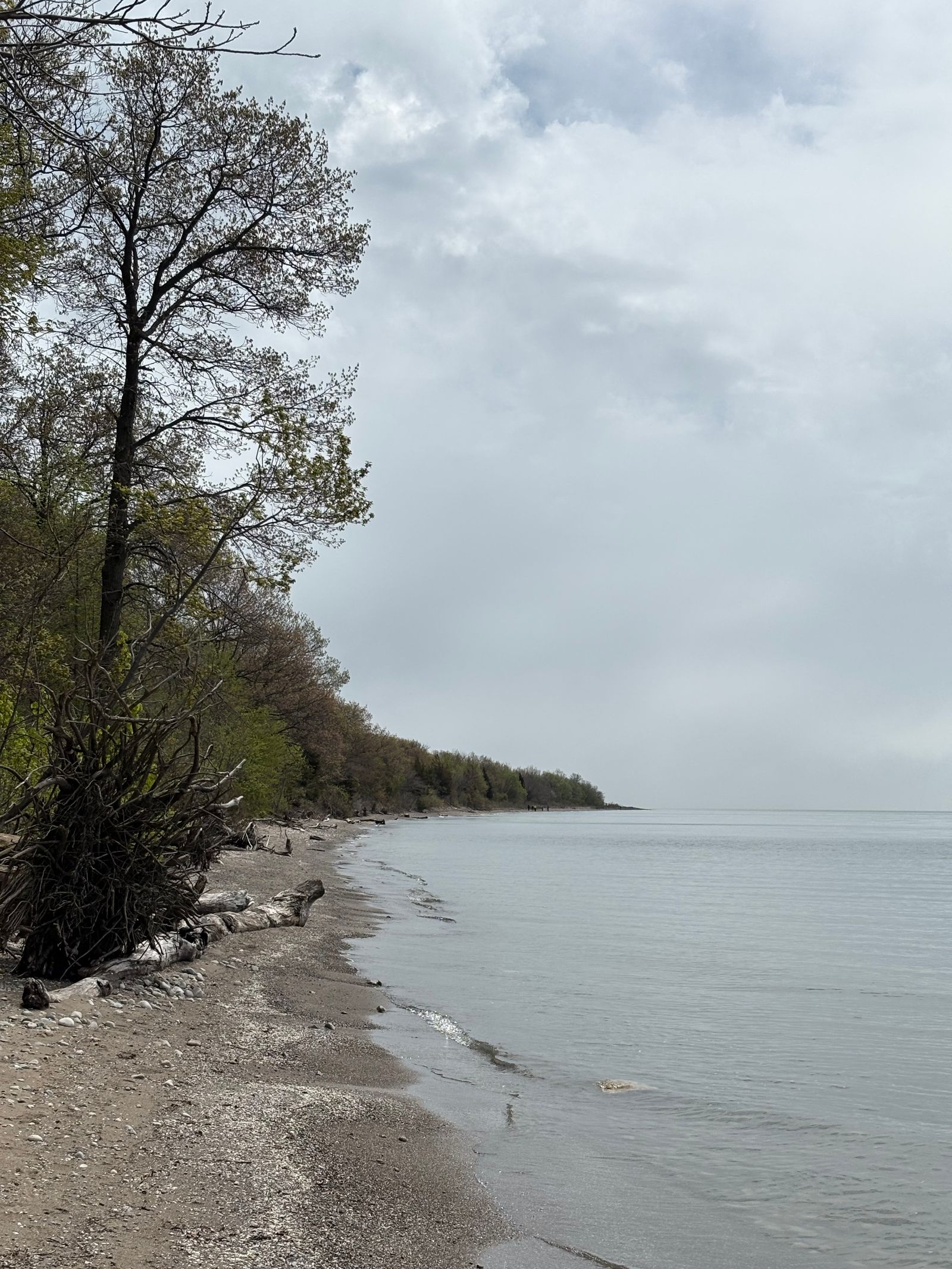 Lake Erie Photos, Download The BEST Free Lake Erie Stock Photos & HD Images