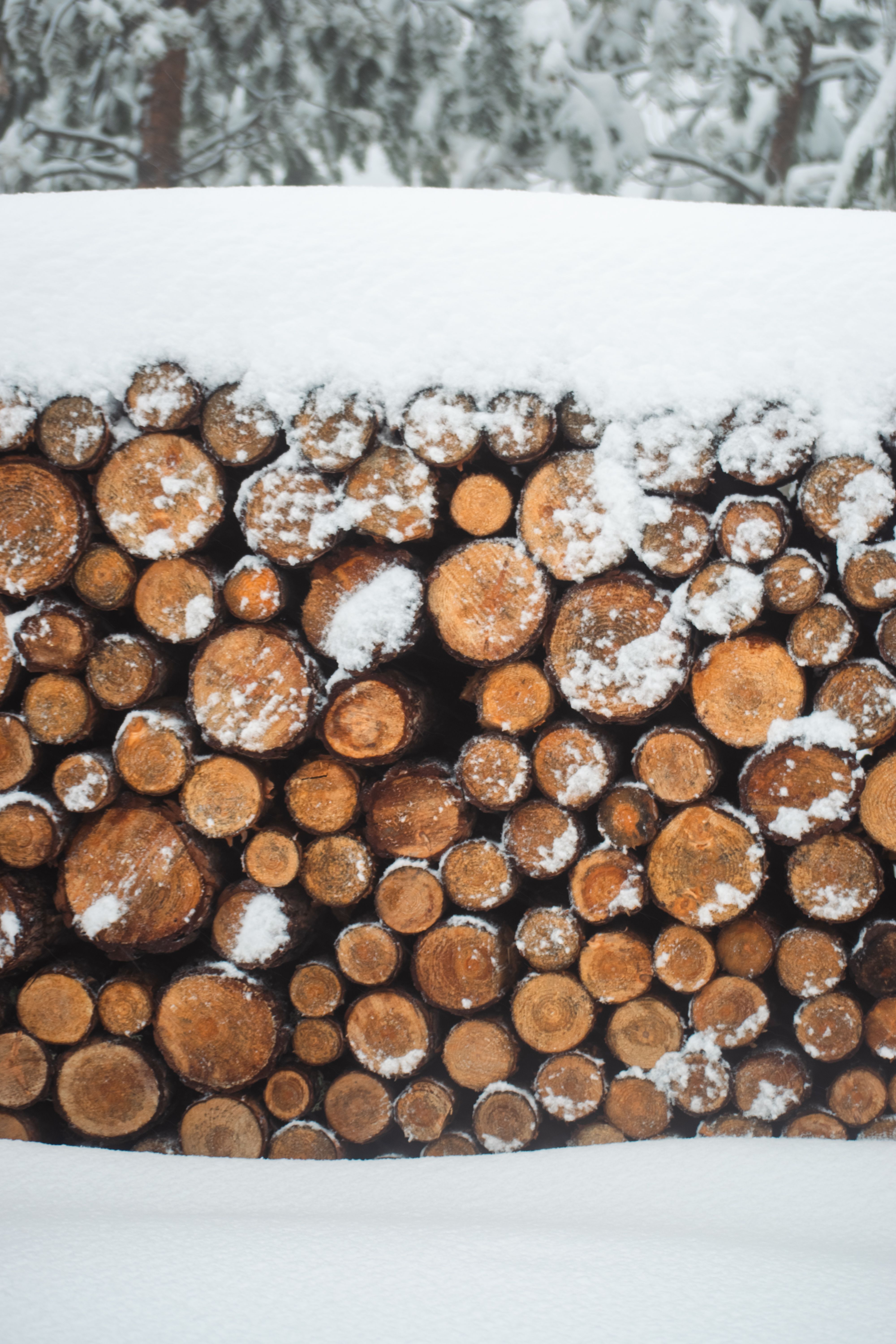 Stack of Firewood Covered in Snow · Free Stock Photo