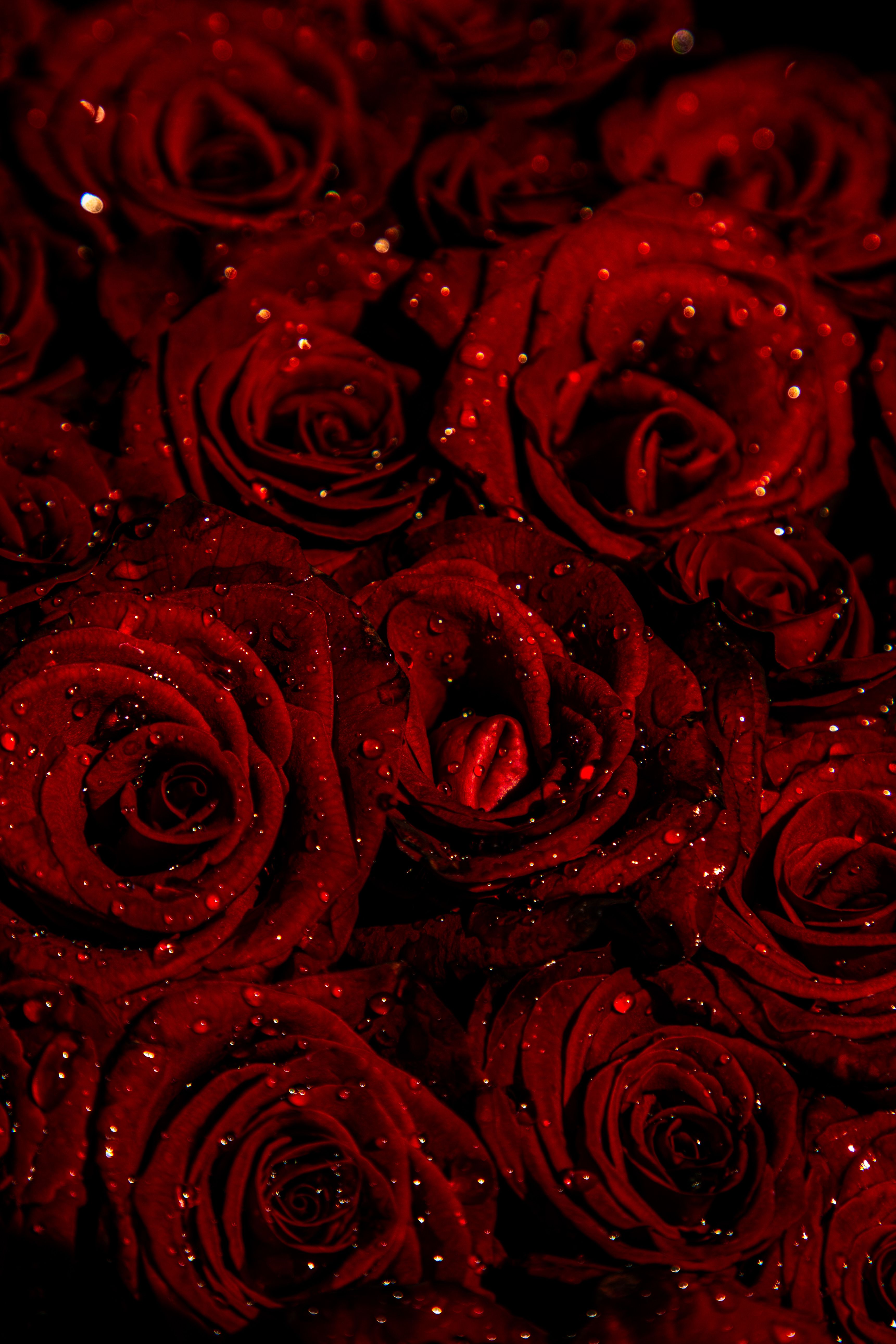 Dark Romance Aesthetic Photos, Download The BEST Free Dark Romance ...