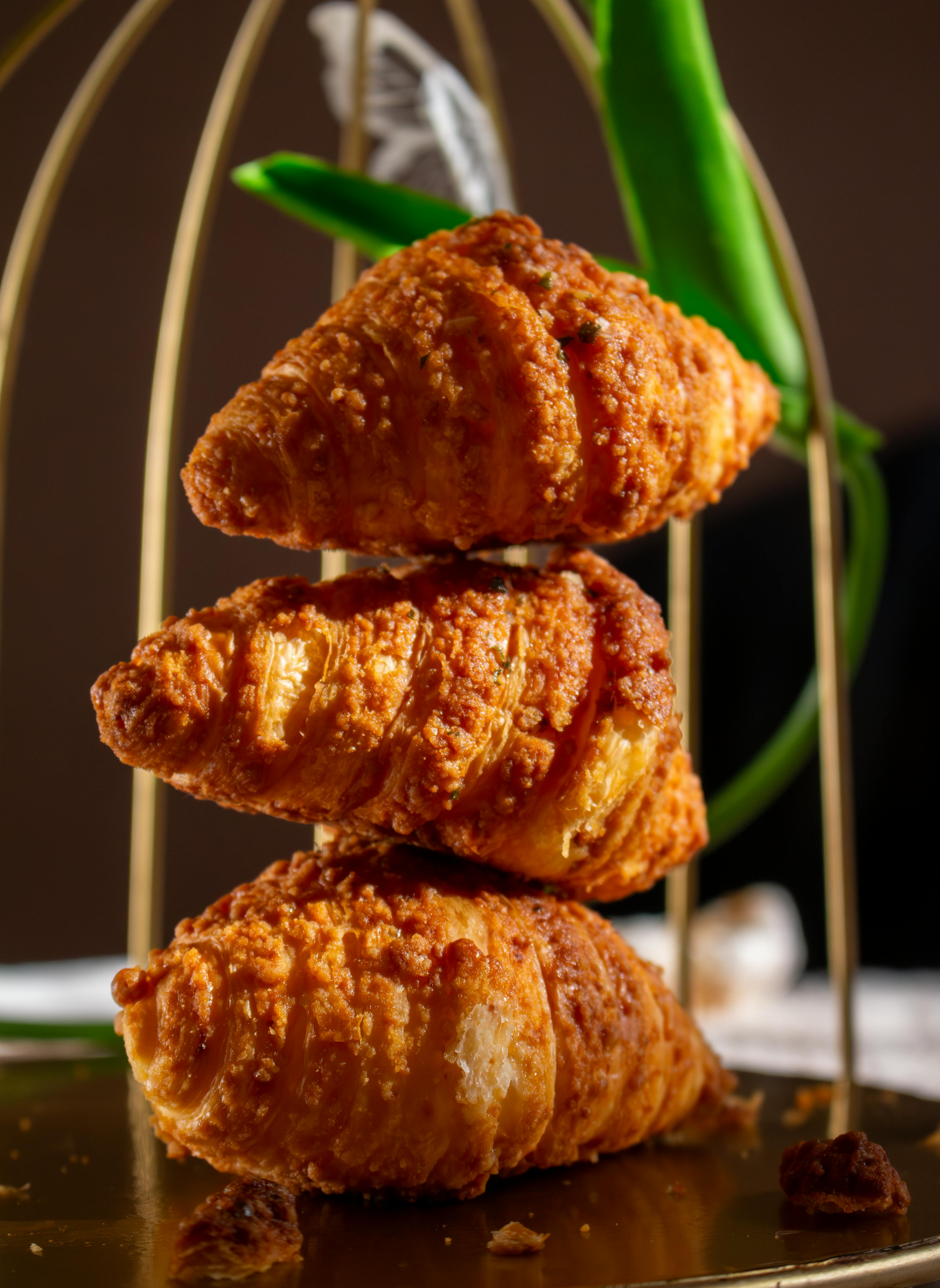 Fancy Photos, Download The BEST Free Fancy Stock Photos & HD Images