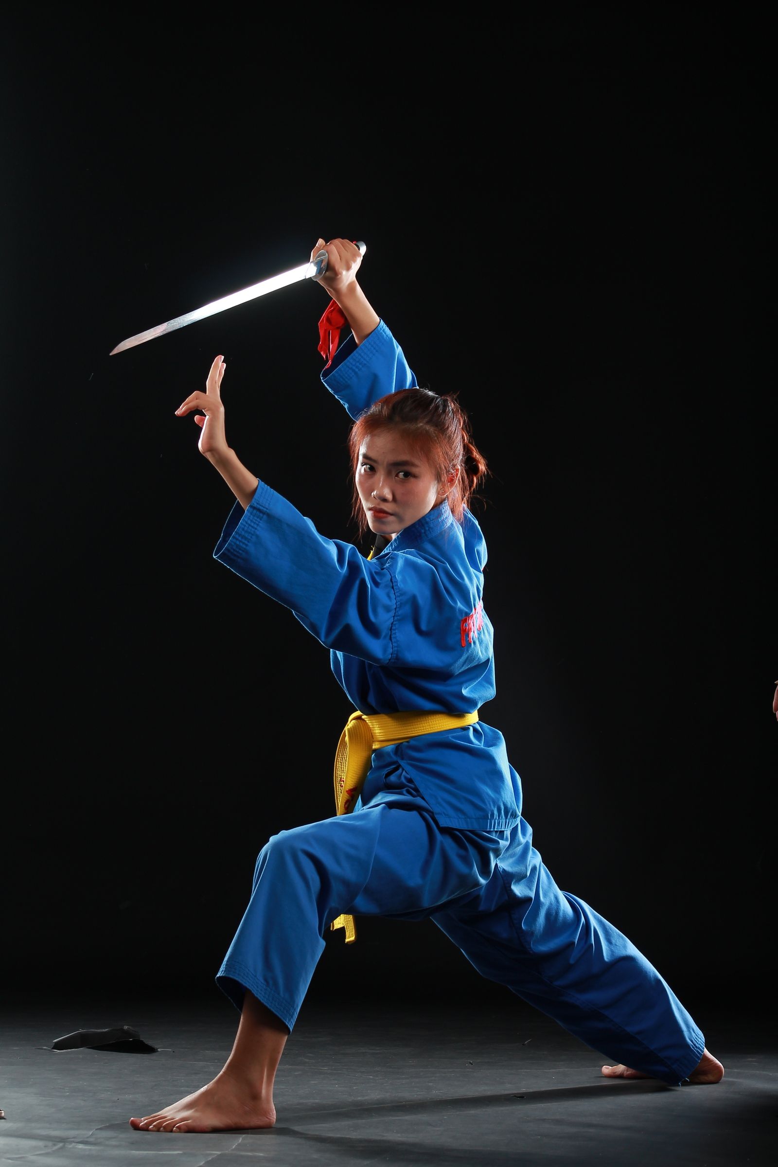 Fighting Pose Photos, Download The BEST Free Fighting Pose Stock Photos ...