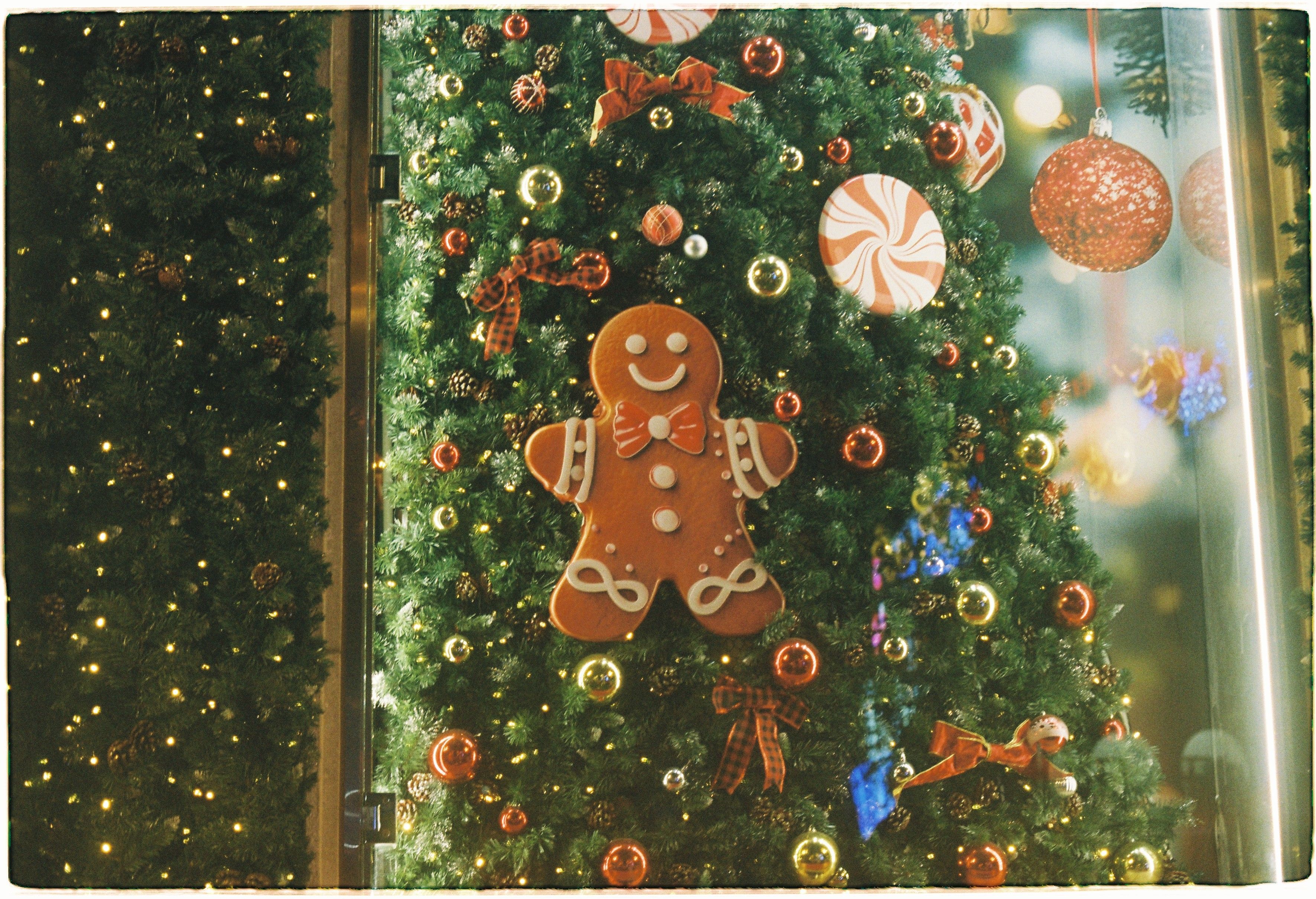 Festive Christmas Tree Display with Gingerbread · Free Stock Photo