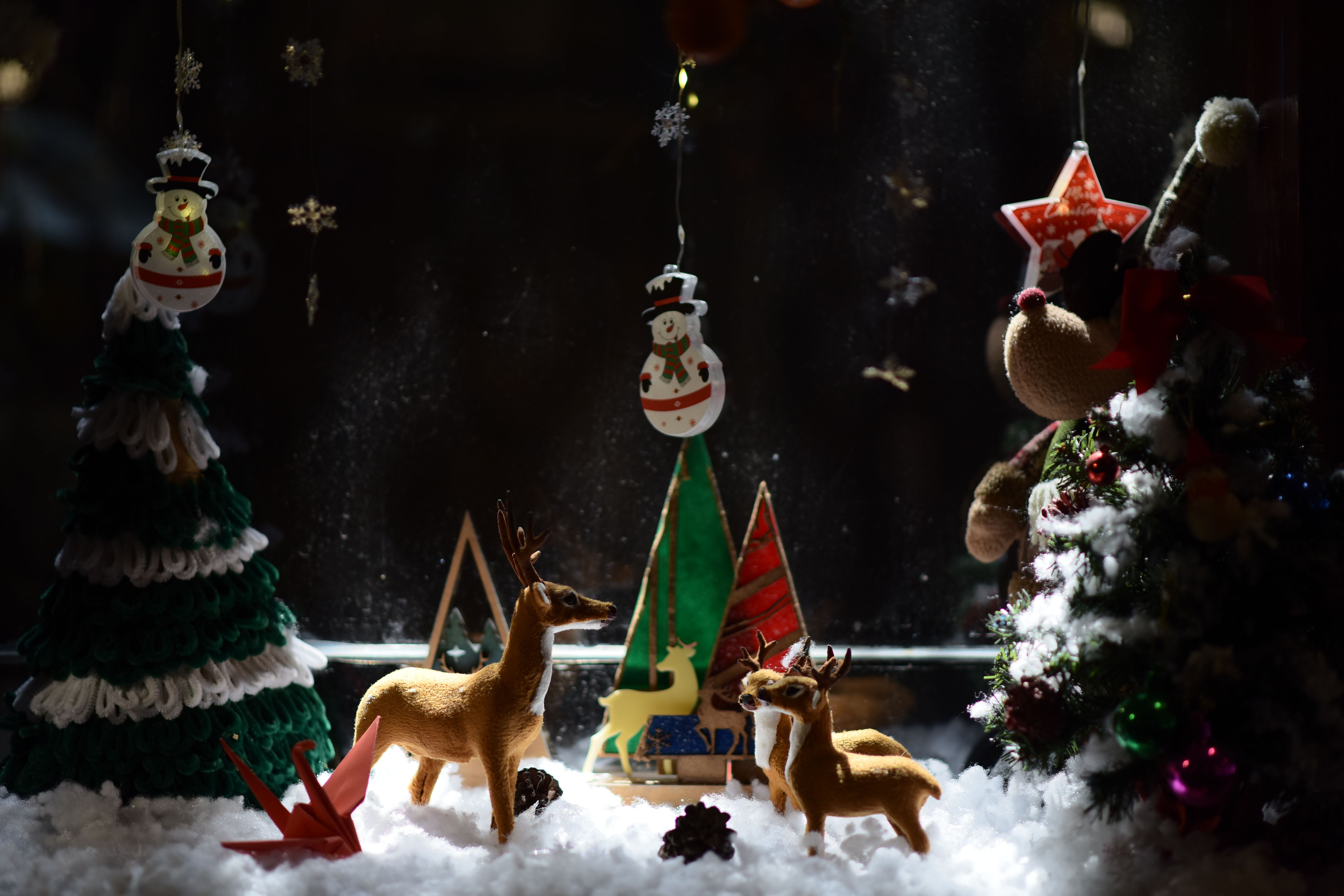 Festive Christmas Window Display with Decorations · Free Stock Photo