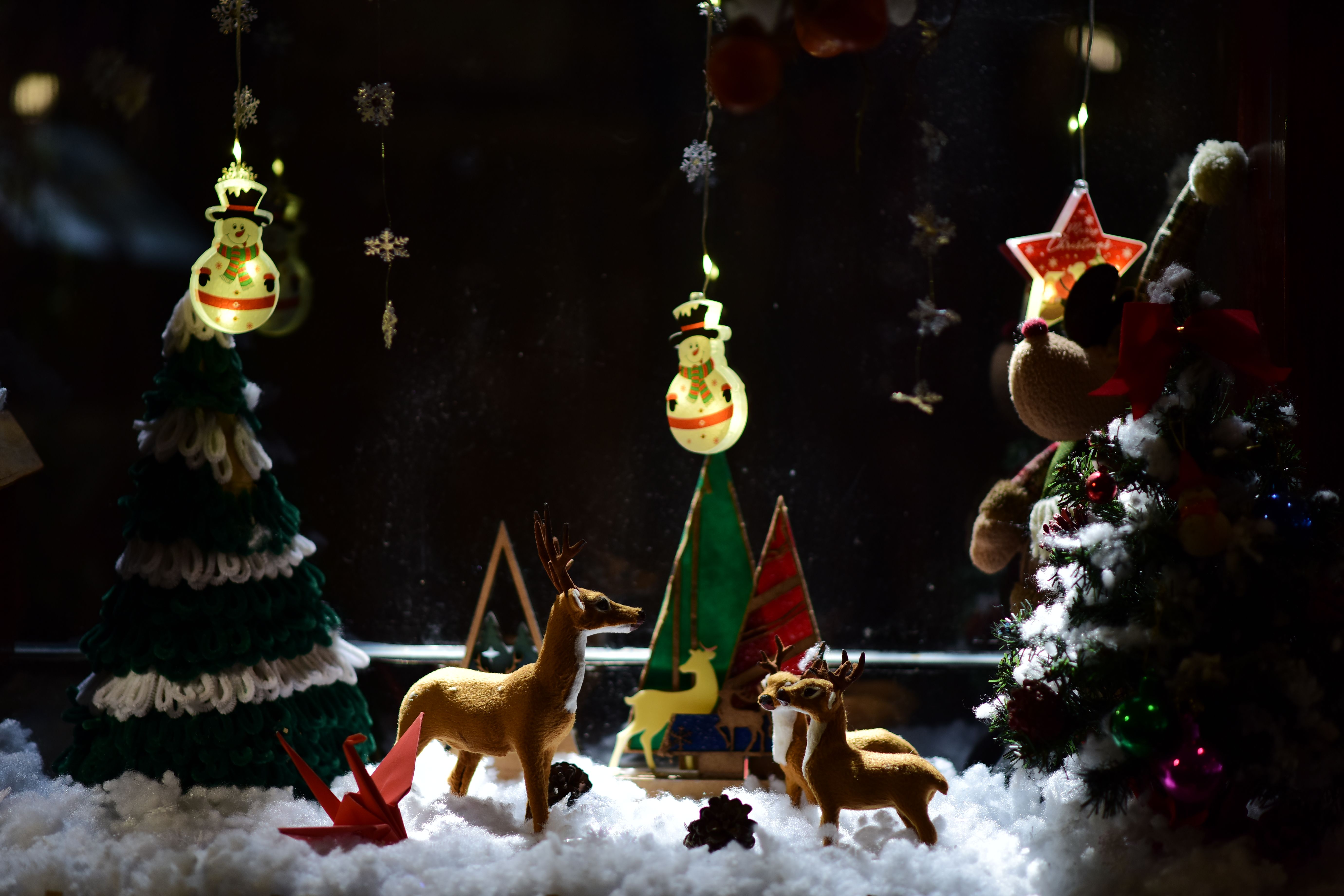 Festive Christmas Window Display with Reindeer · Free Stock Photo