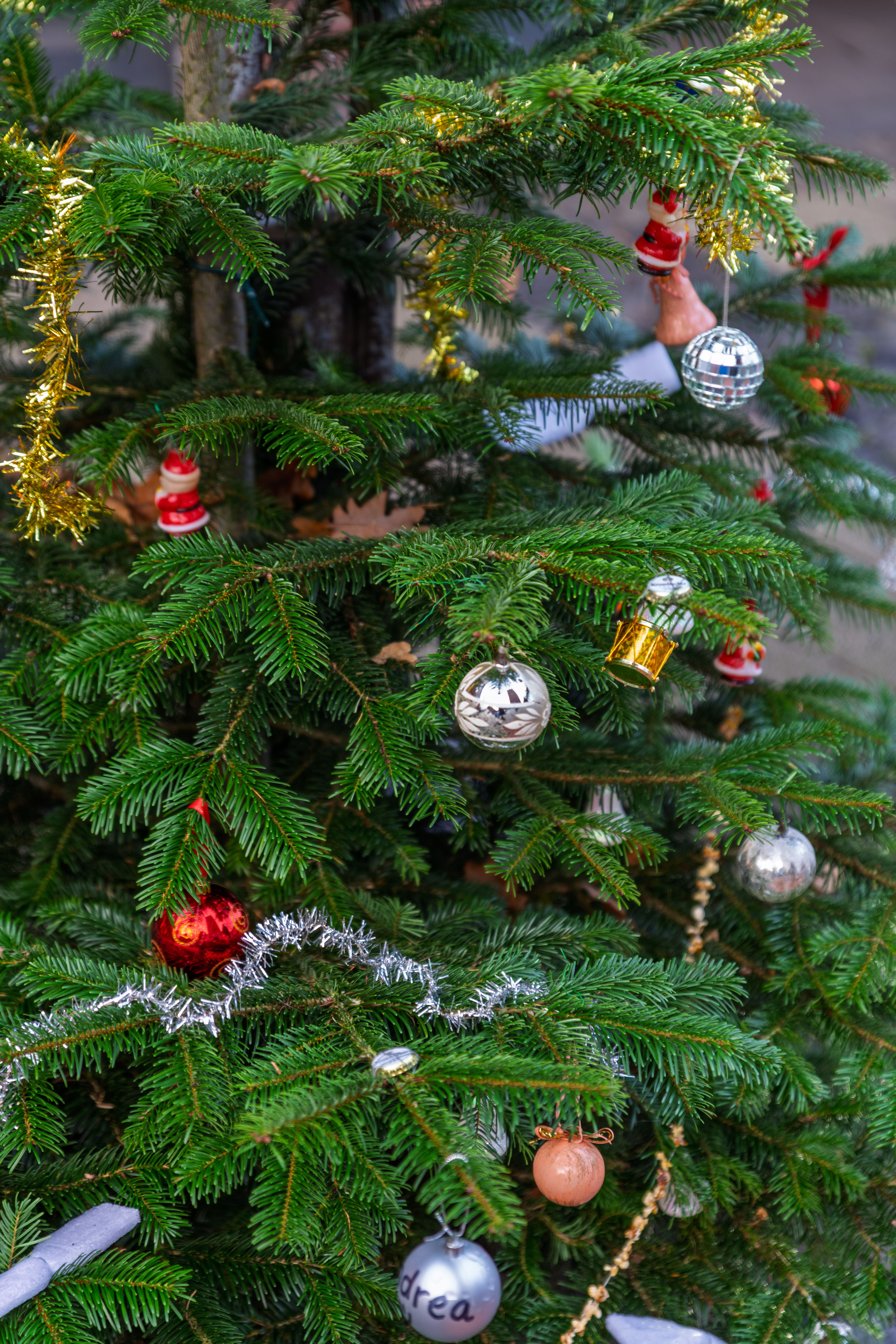 Close-Up Photo of Christmas Tree With Ornaments · Free Stock Photo