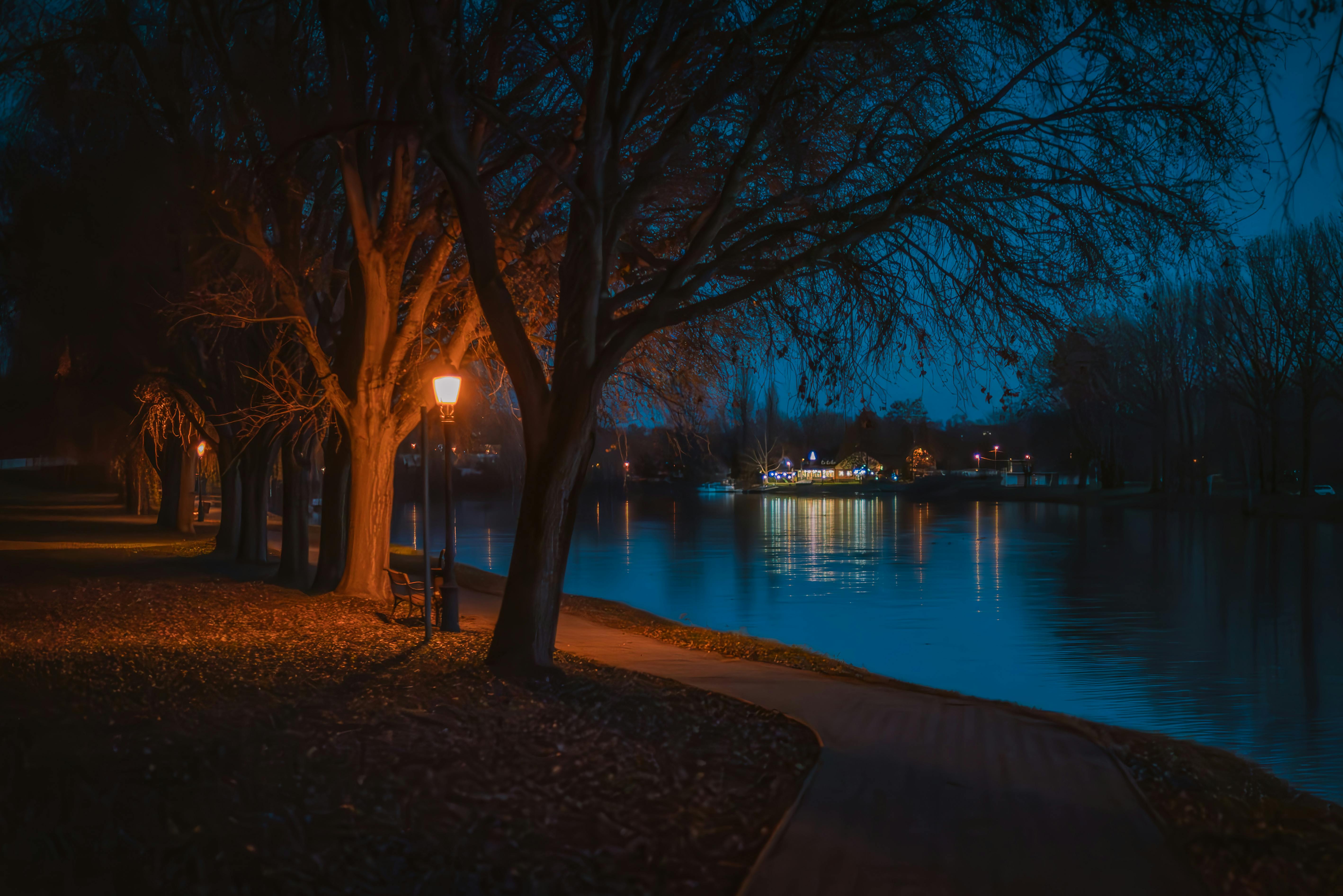Tranquilo Sendero Junto Al Río Por La Noche · Foto de stock gratuita
