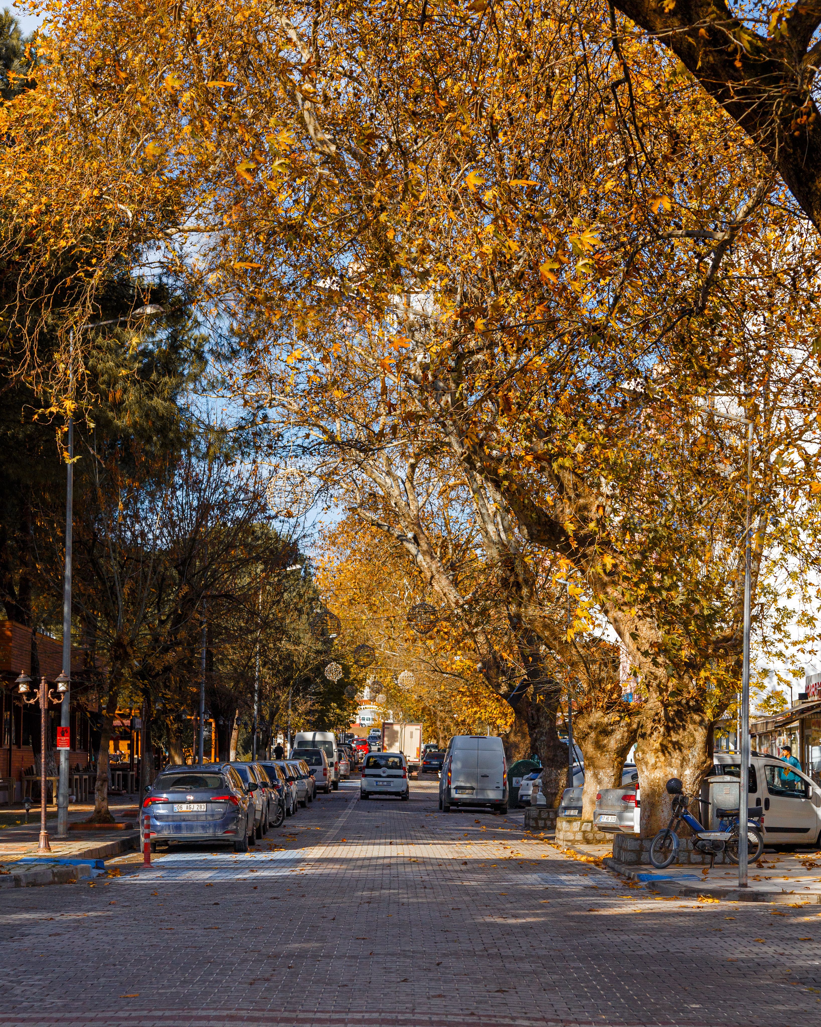 Scenic Urban Street with Autumn Foliage · Free Stock Photo