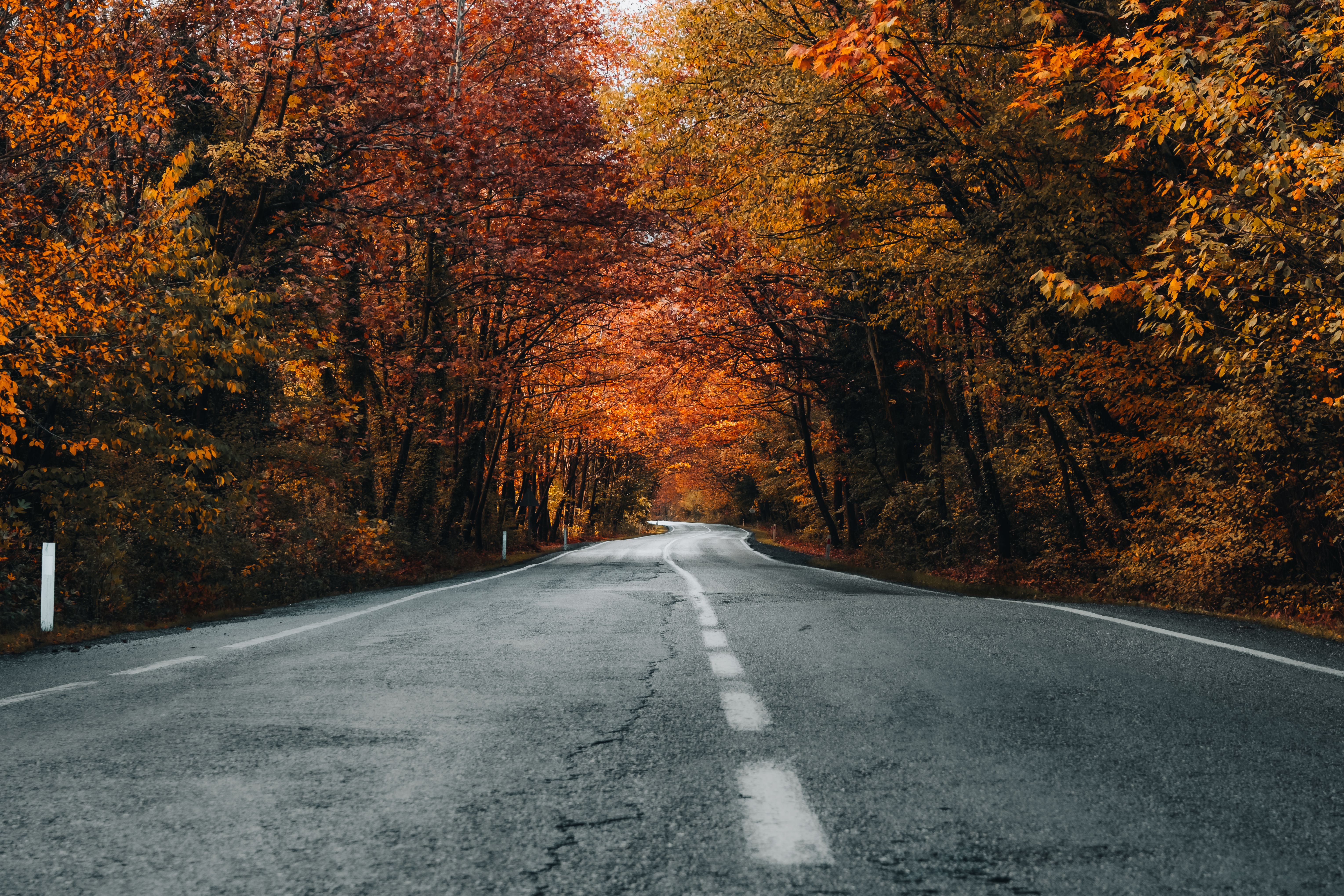 Wide Angle Photo Of Road · Free Stock Photo