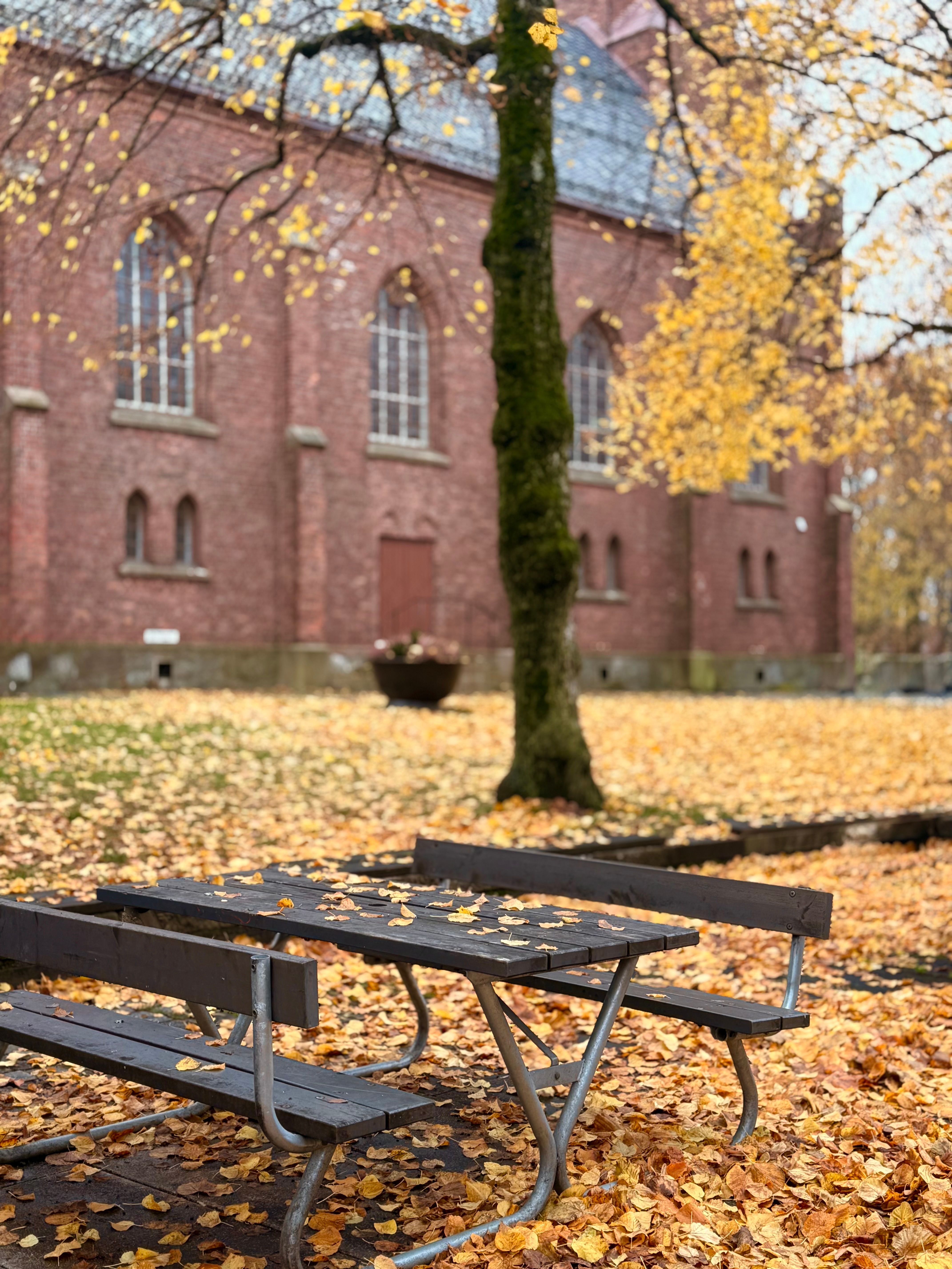 Autumn Scene with Brick Church and Fallen Leaves · Free Stock Photo