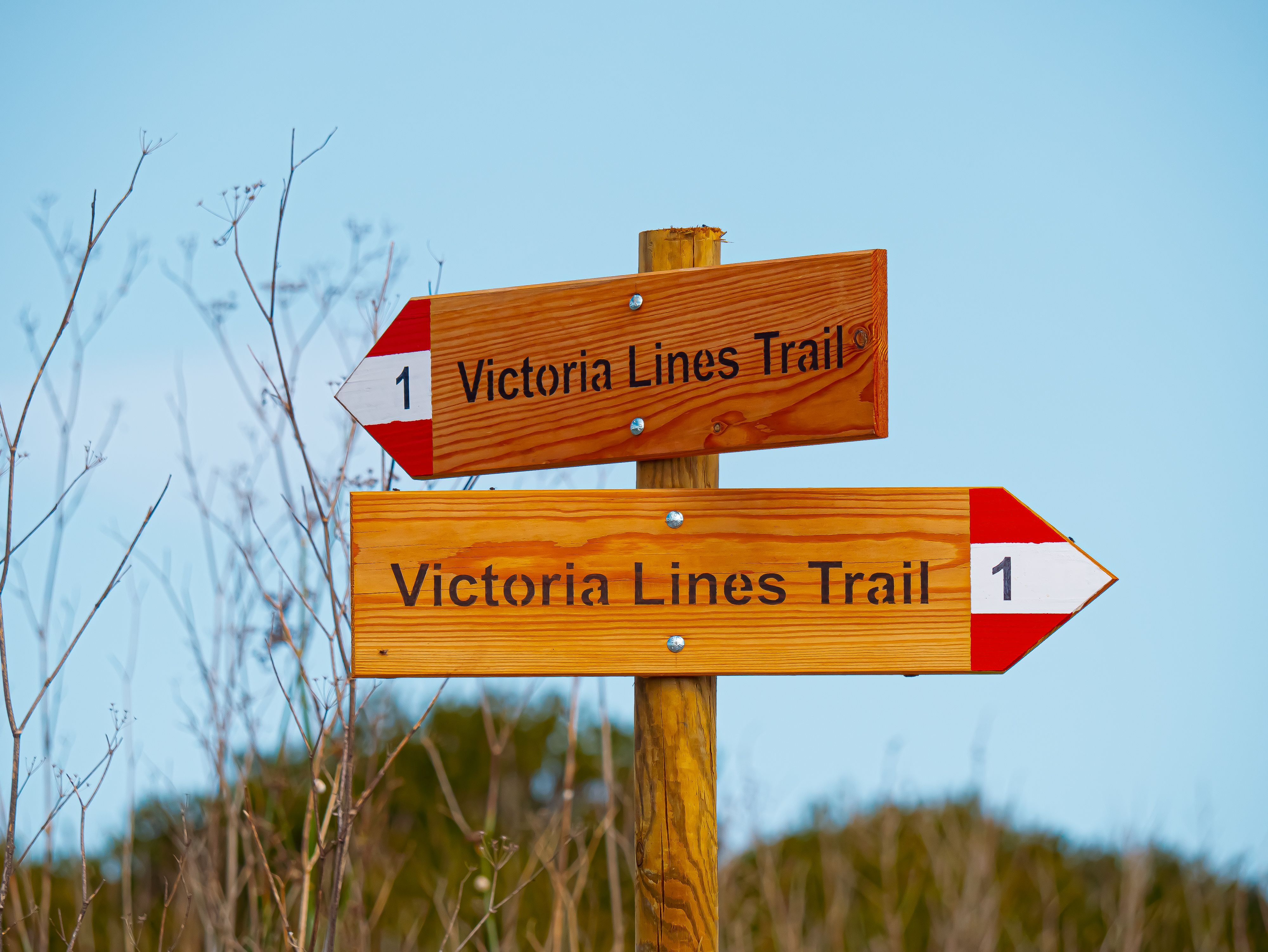 Stright Lines Photos, Download The BEST Free Stright Lines Stock Photos ...